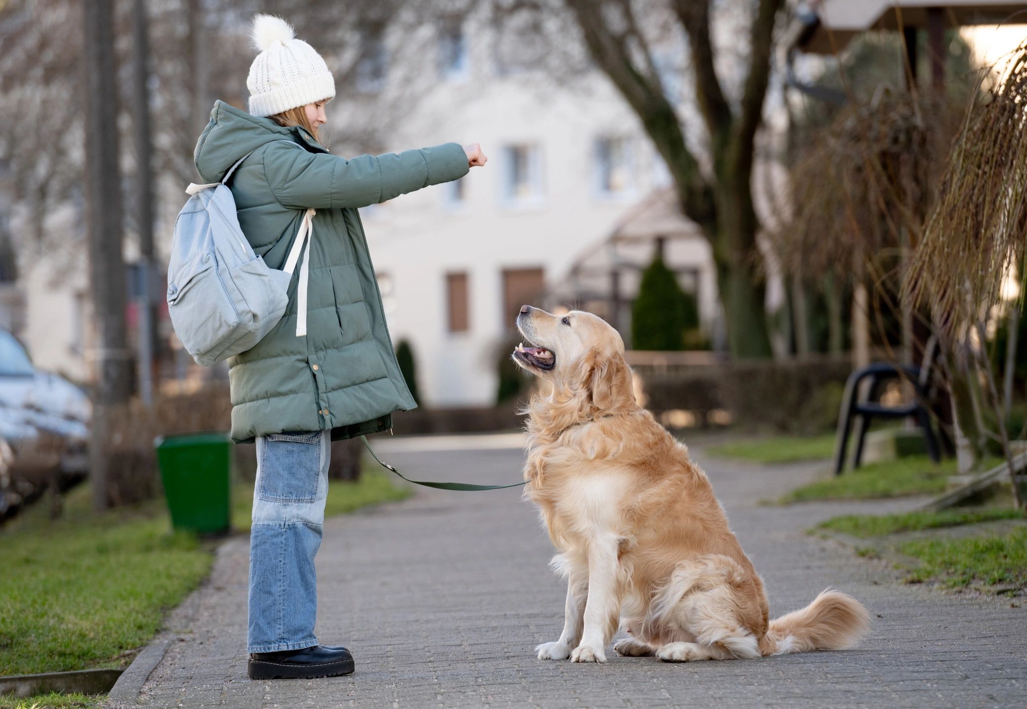 The 10 Minute Dog Trainer