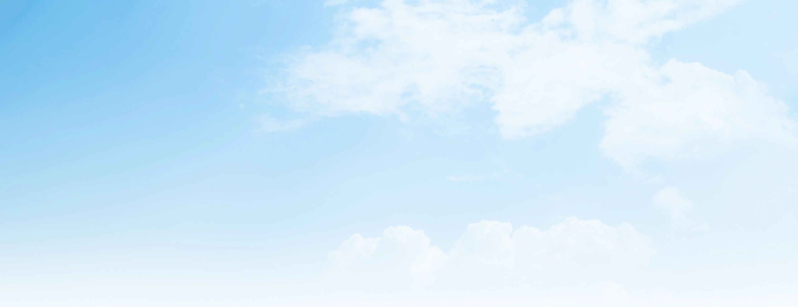 Warren Lane Holdings