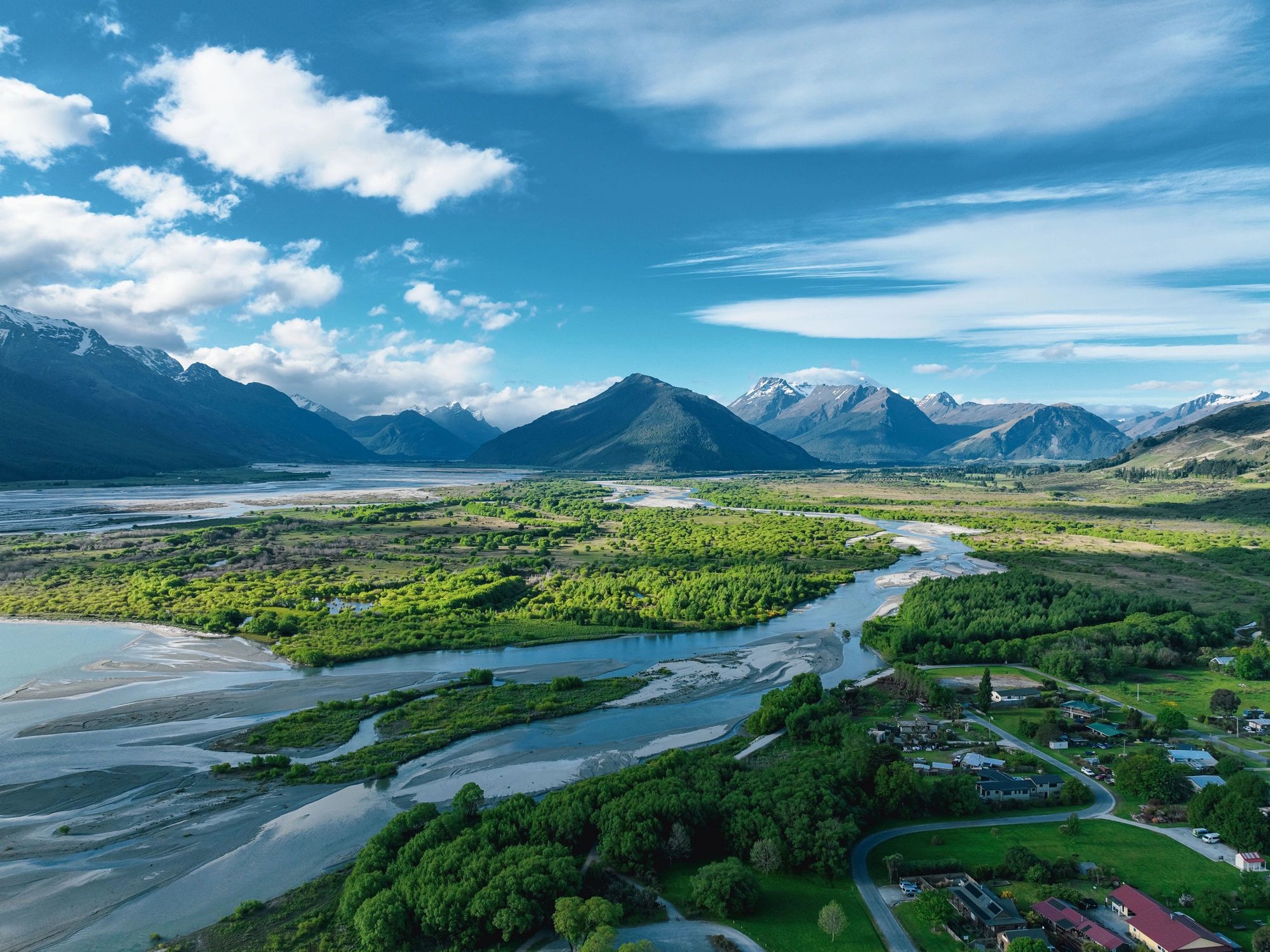 Management & Advisory