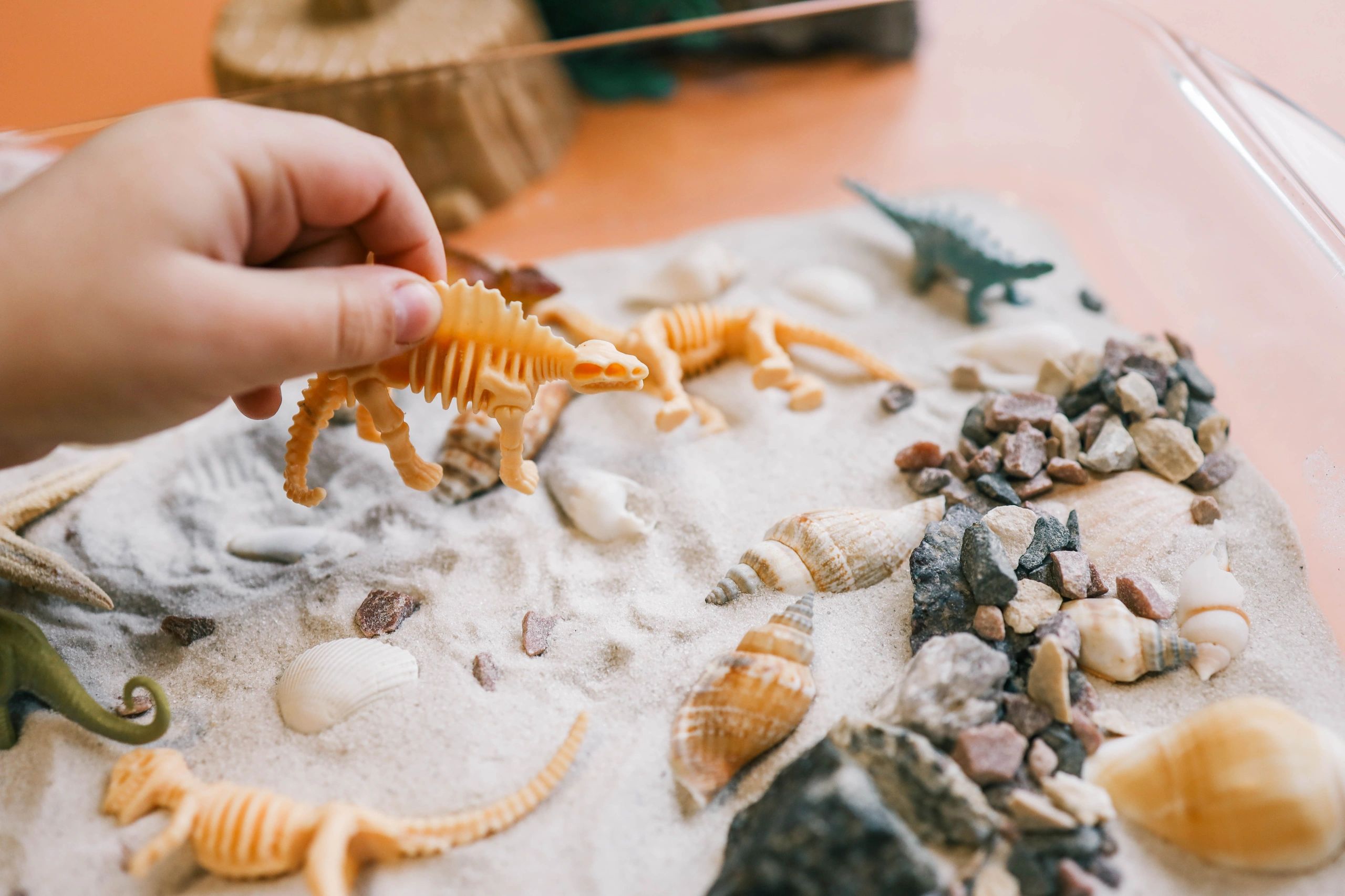 Play Connect Communicate