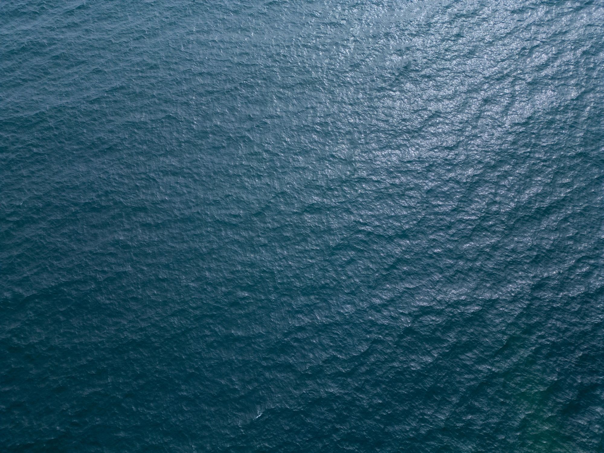 Expert Immigration Services for O1, O2, P1, P1S visas, U.S. Agent ...