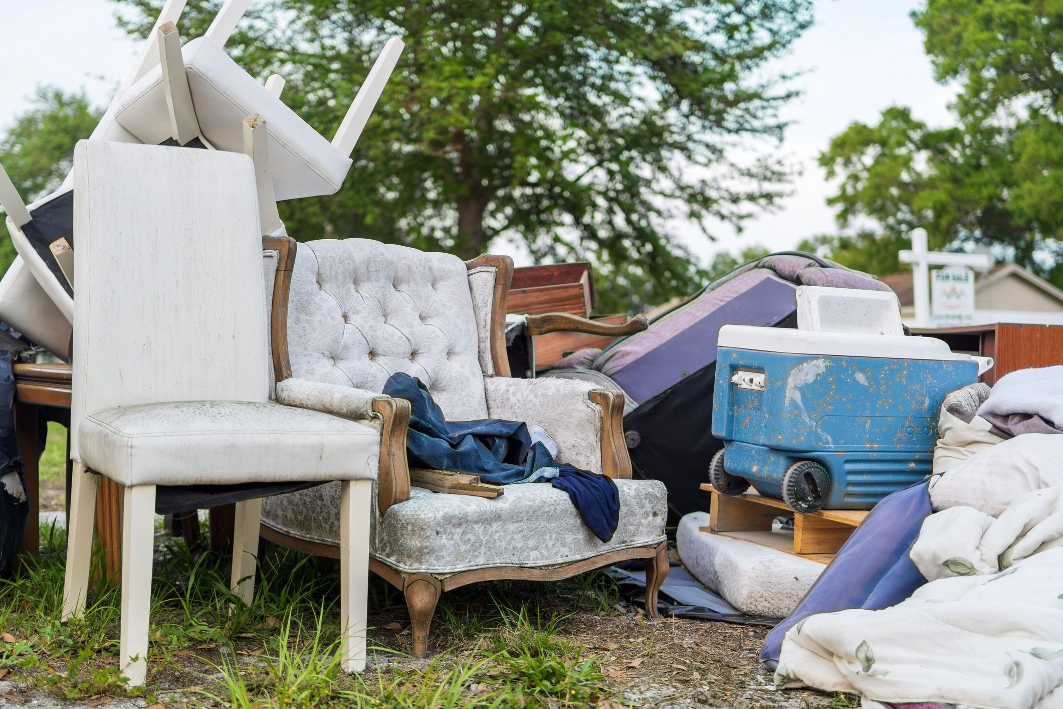 Top Junk Removers for Hassle-Free Removal