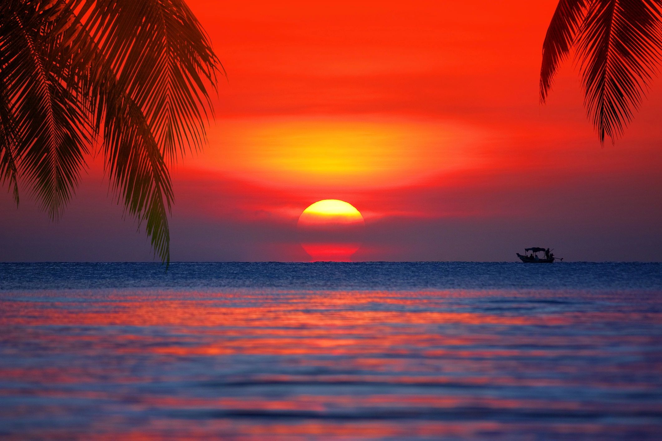 Amore Health & Wellness