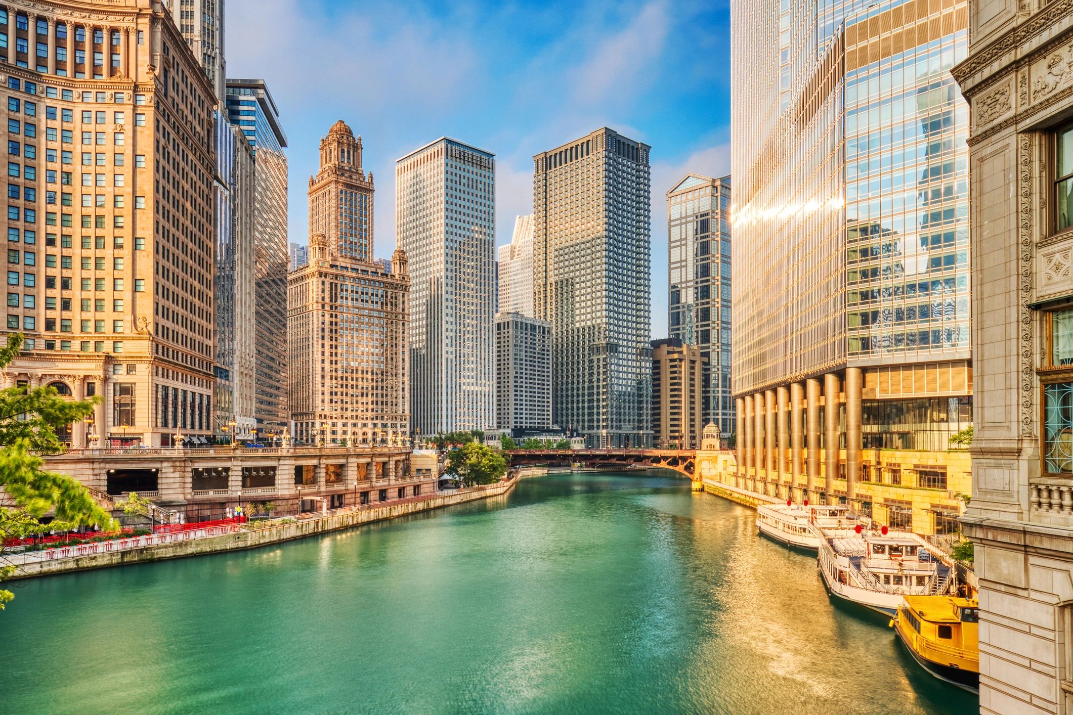 Elite Chicago Homes