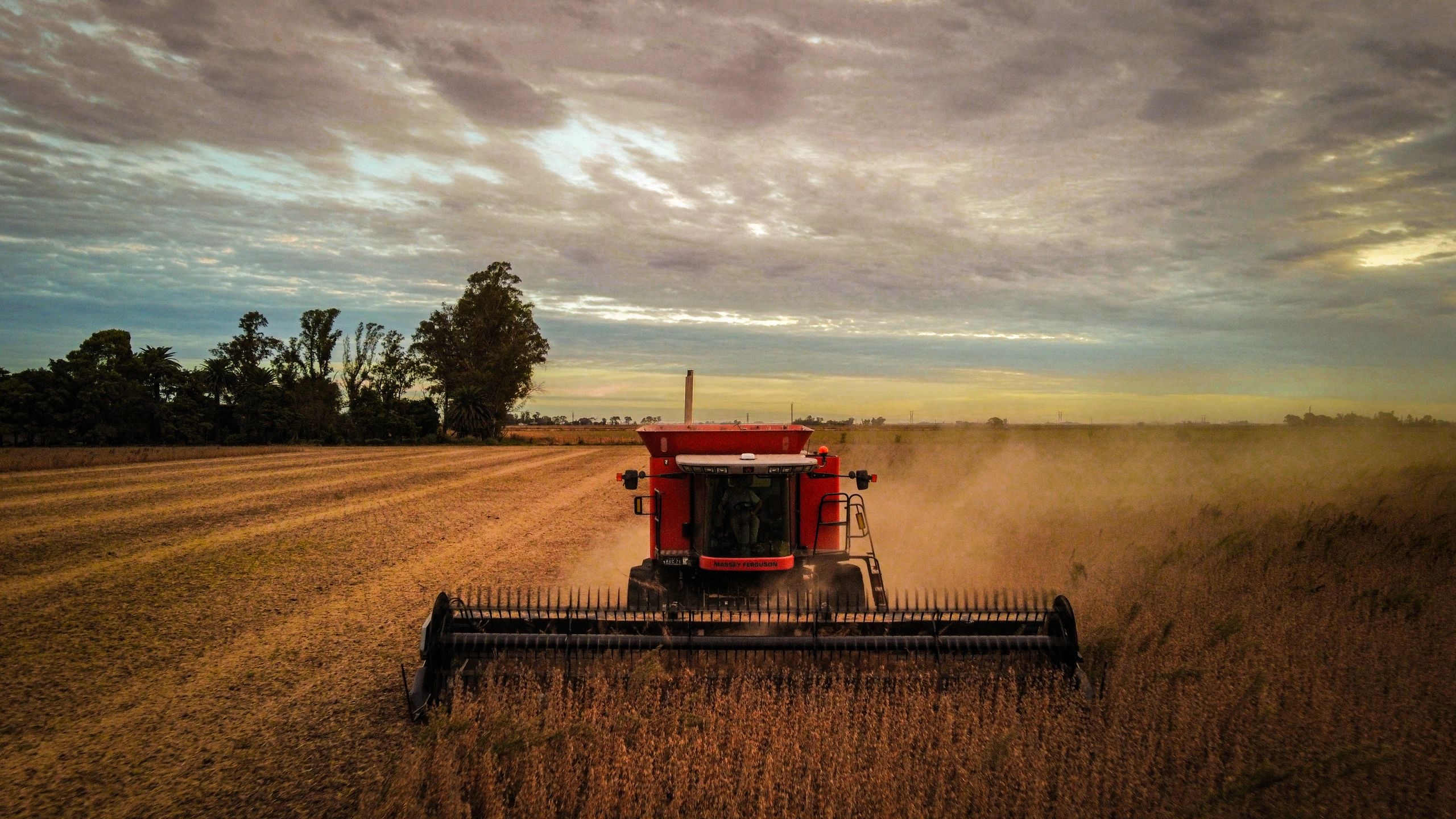 Harvest 3 CFO