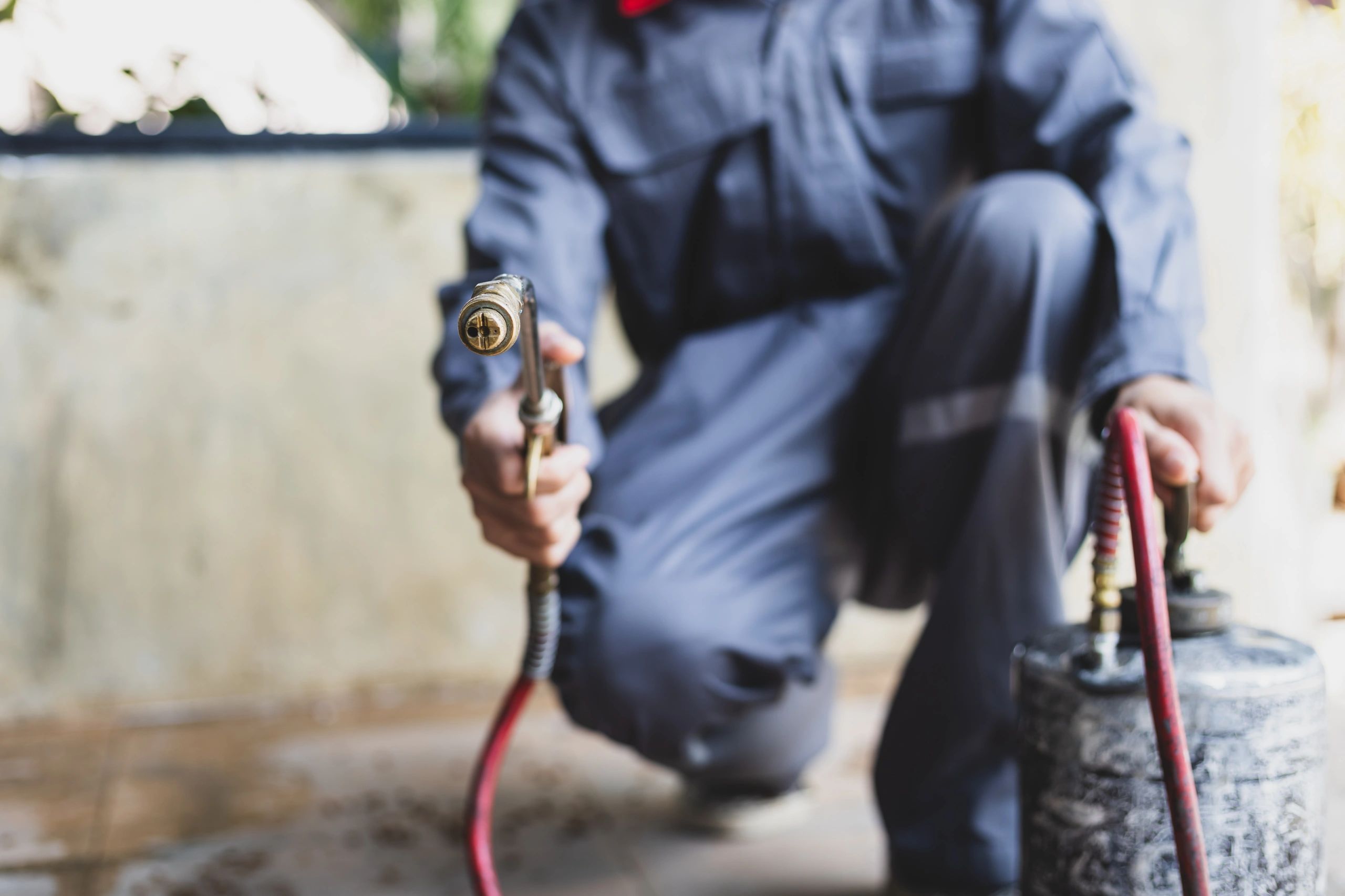 Standard Pest Management