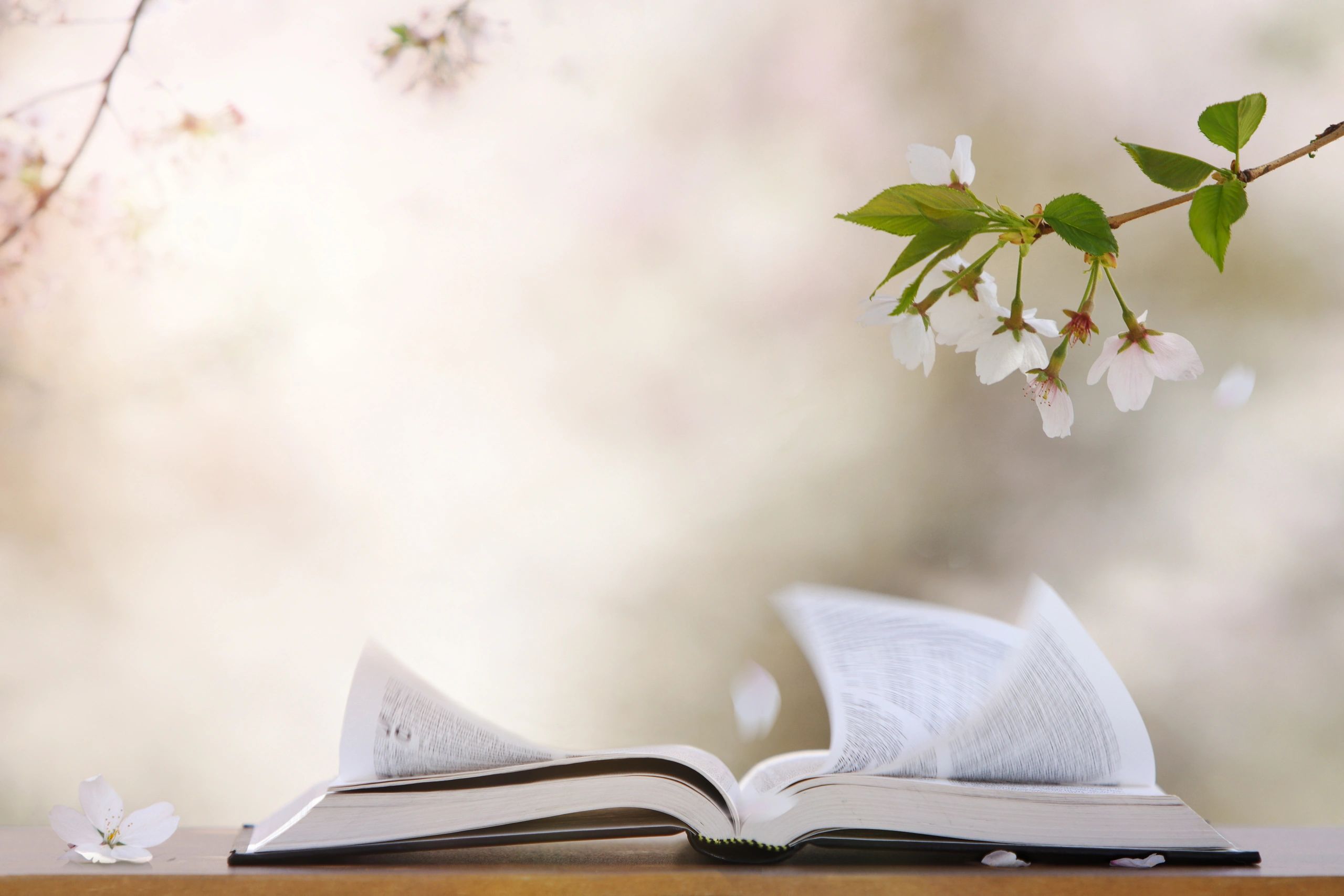 Line by Line Collective