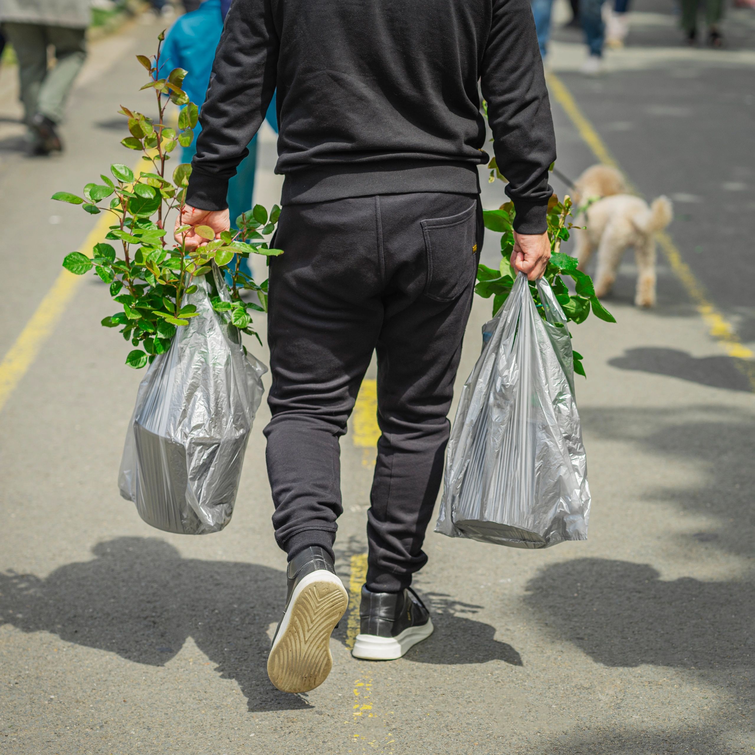 Karmah Foundation: Leading Charity Organization