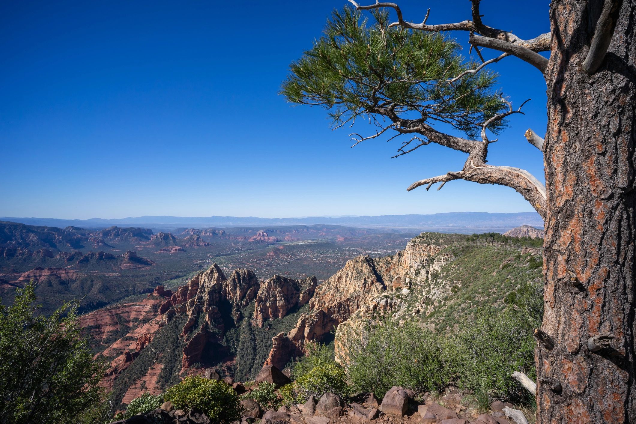 About | Thrive Acupuncture and Wellness