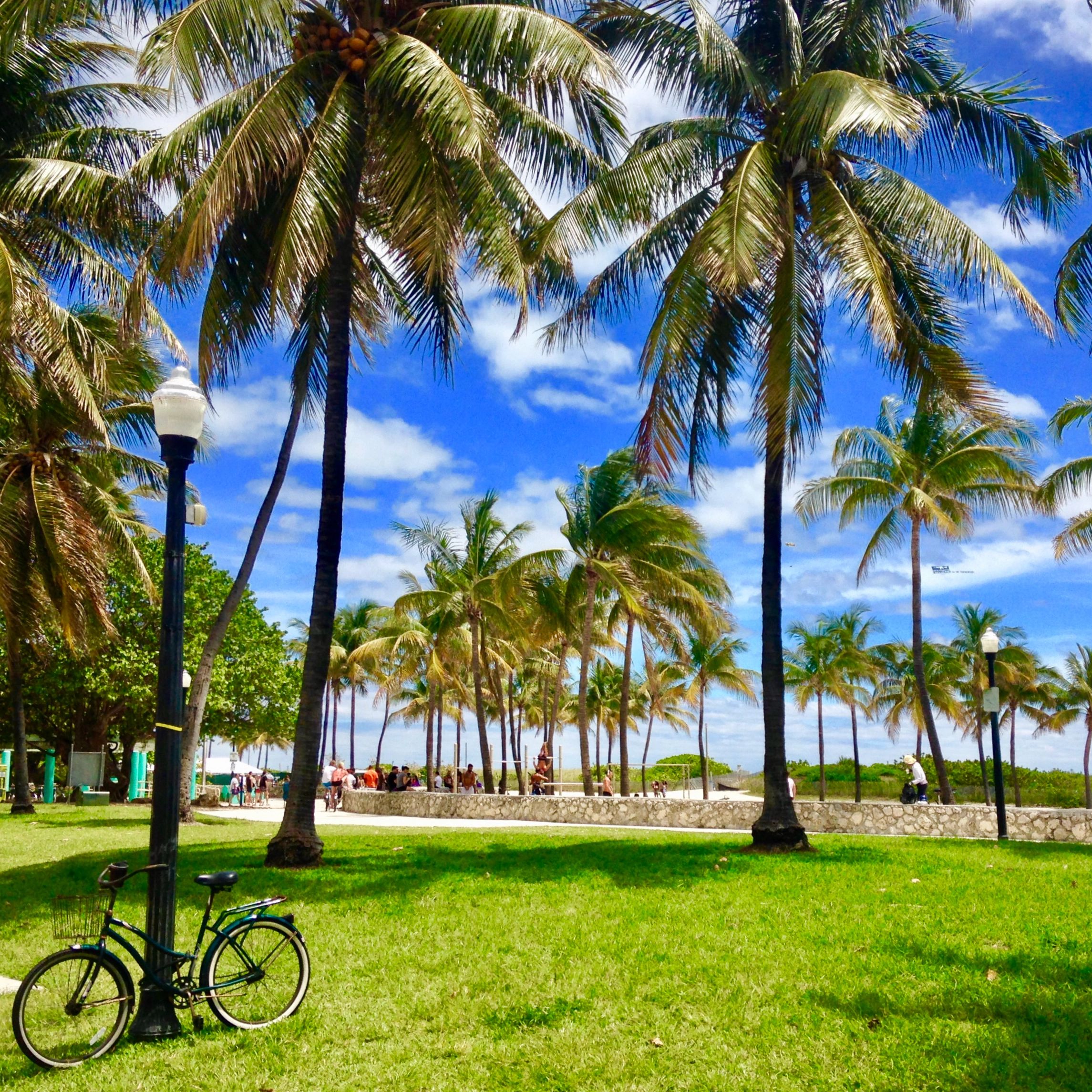 Sunny Miami Rentals