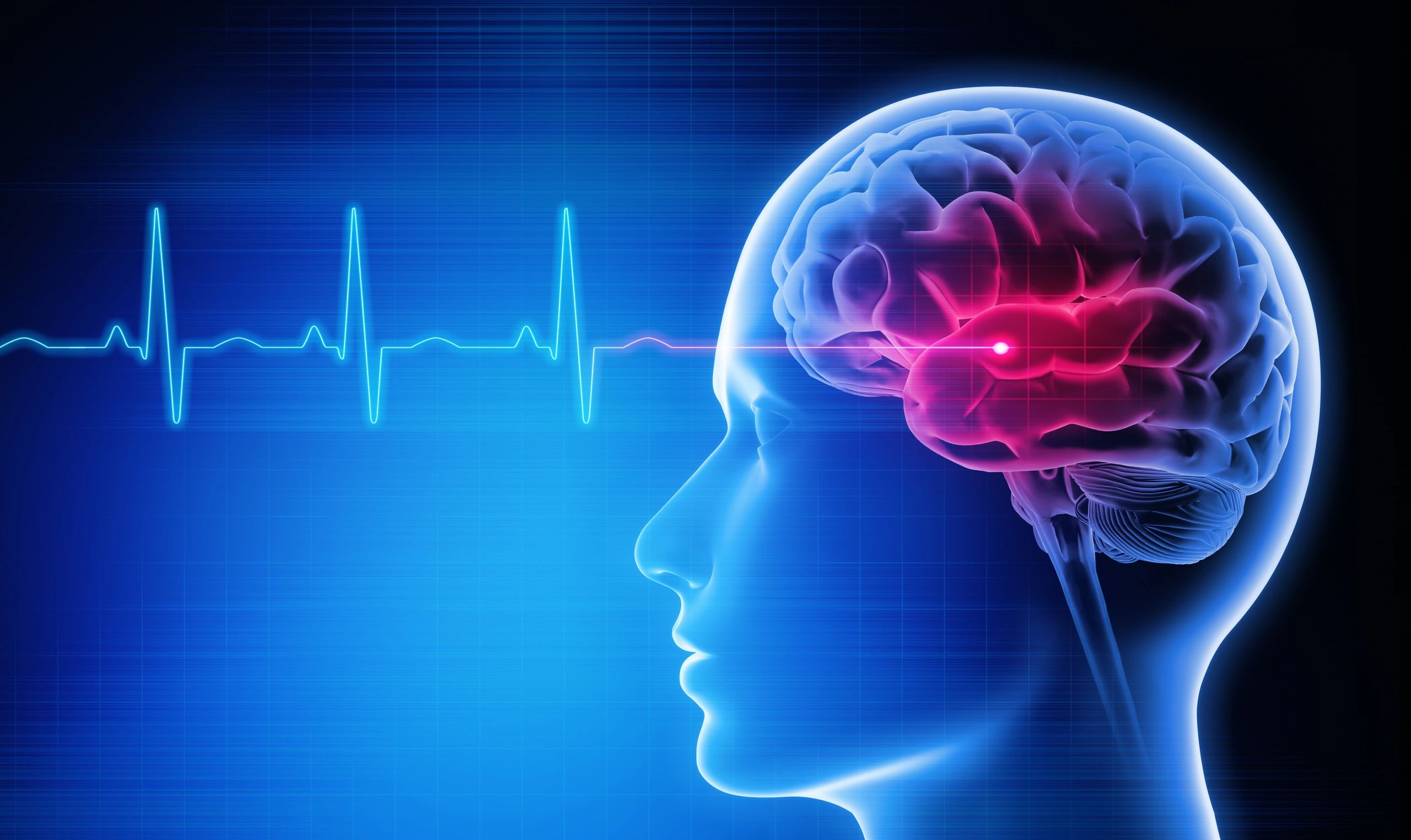 Spine and Brain Monitoring