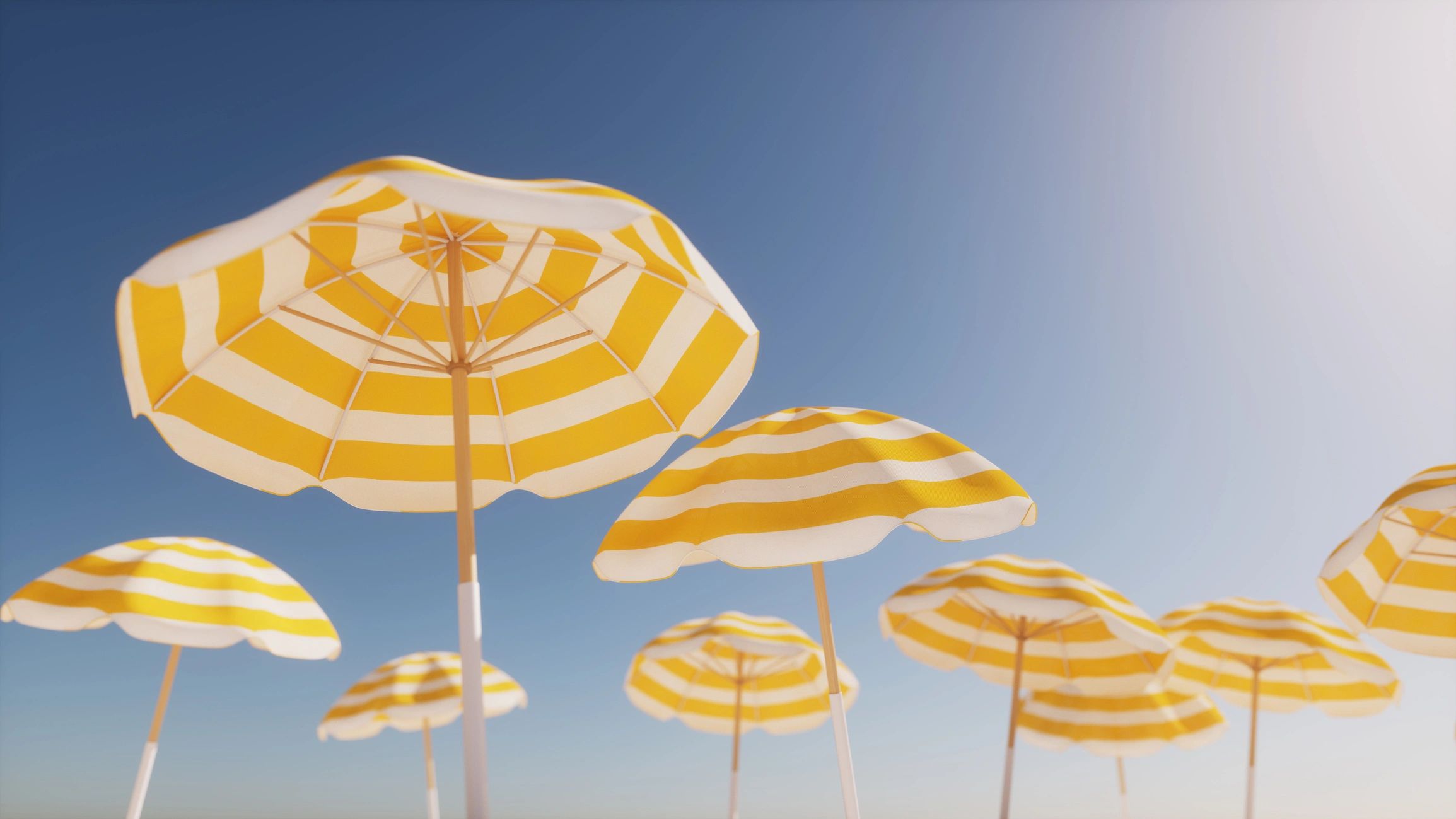 Julissa Chavez Boutique