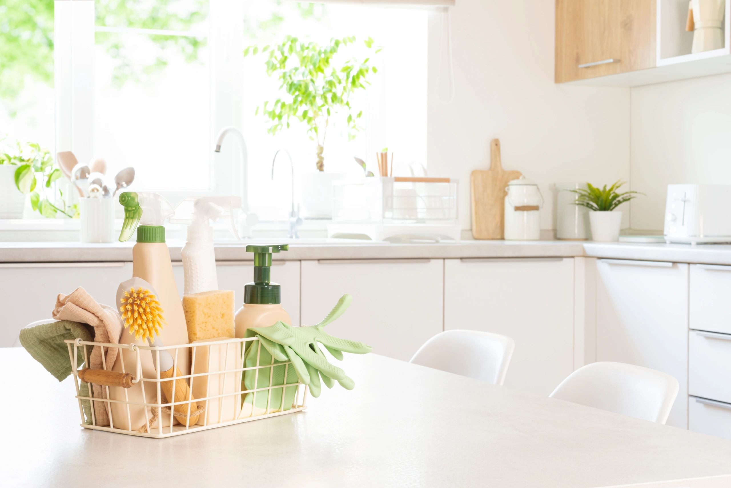 Daisy Dusters Cleaning Service