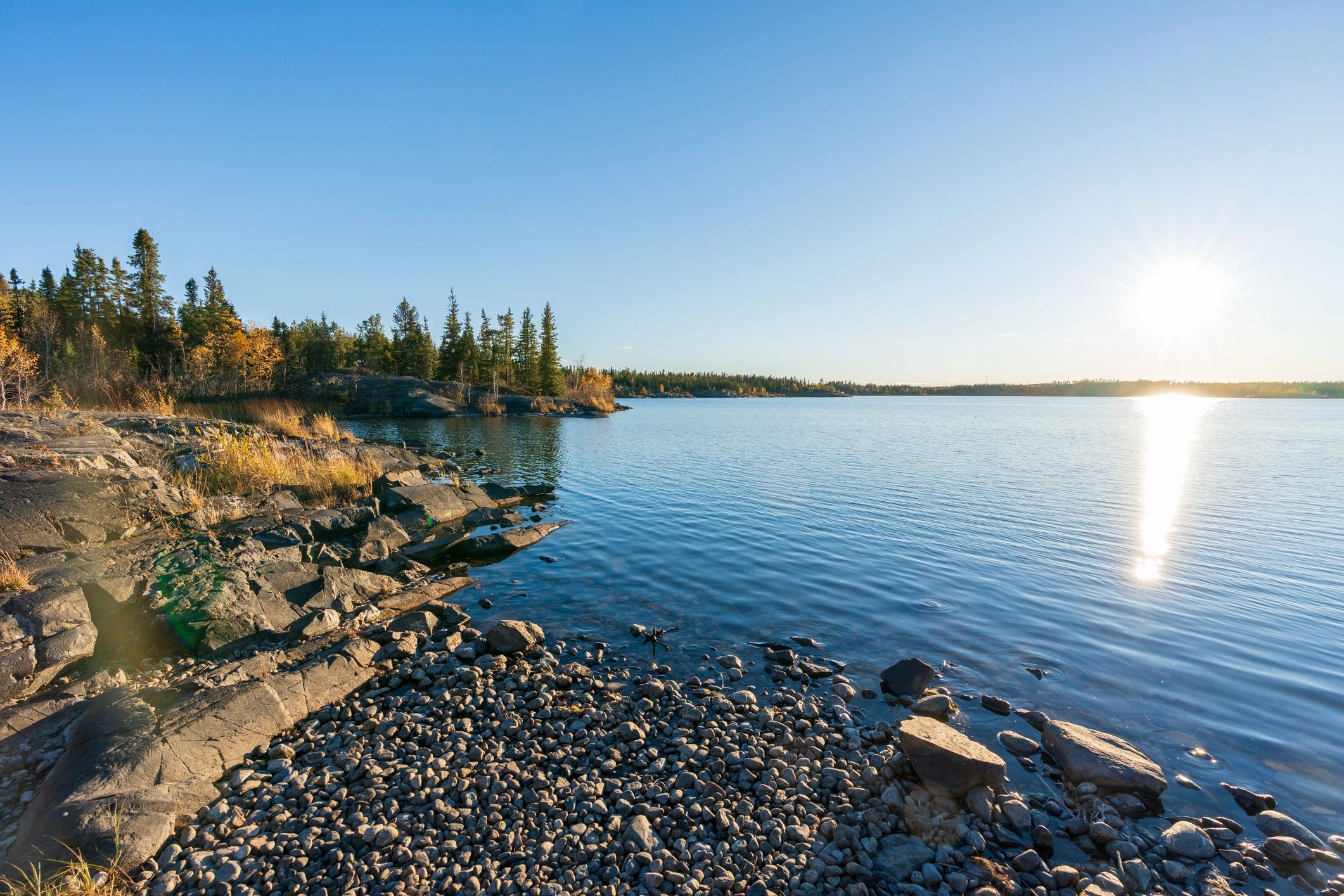 Expert Conflict Mediation Services for Quick Resolutions