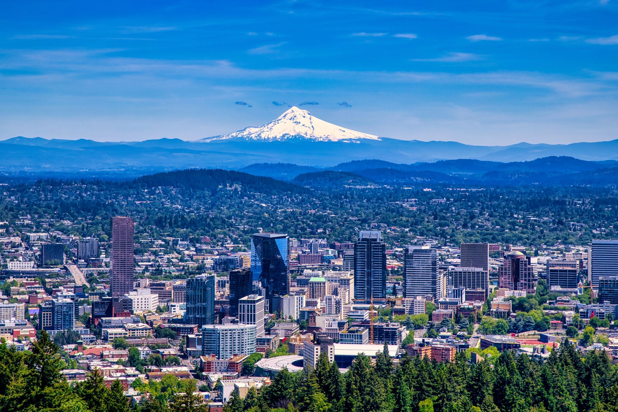 About | Element Five Consulting