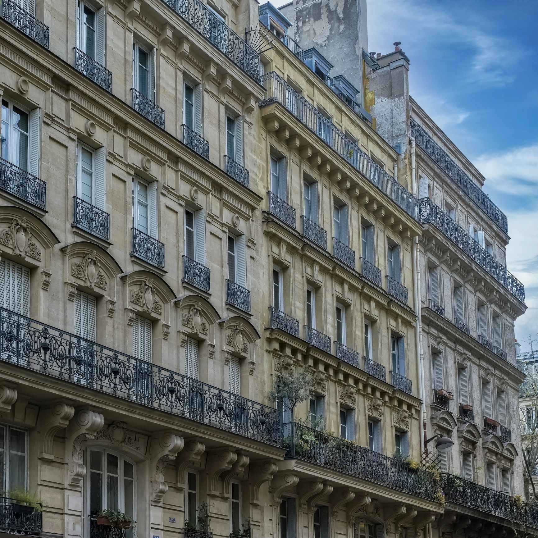 Duong Gia California