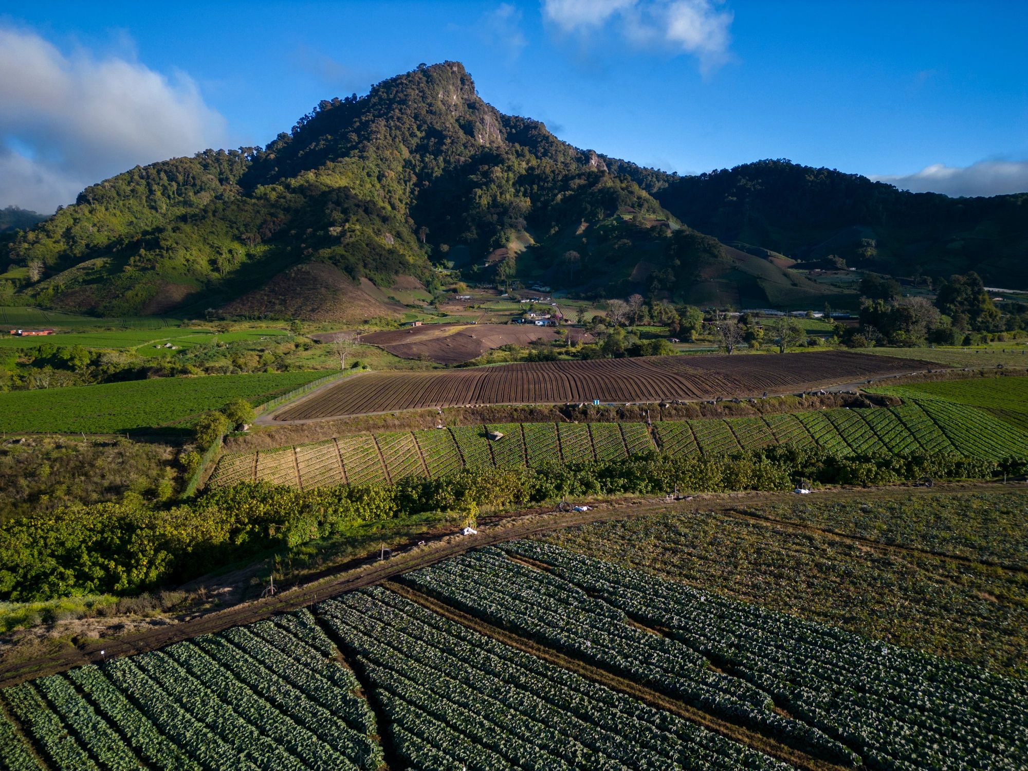 Rhodri Thomas Consultancy