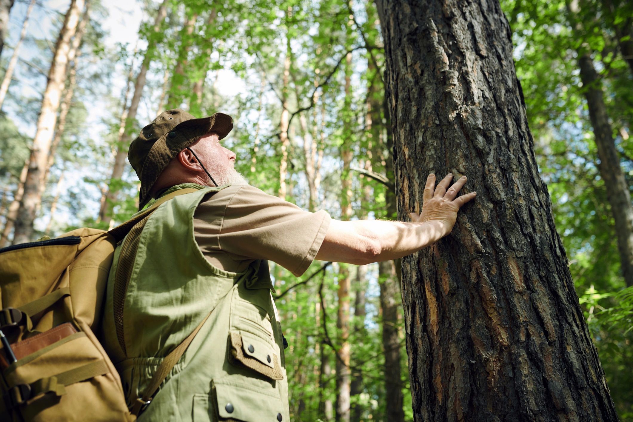 Ackerman Tree Specialists