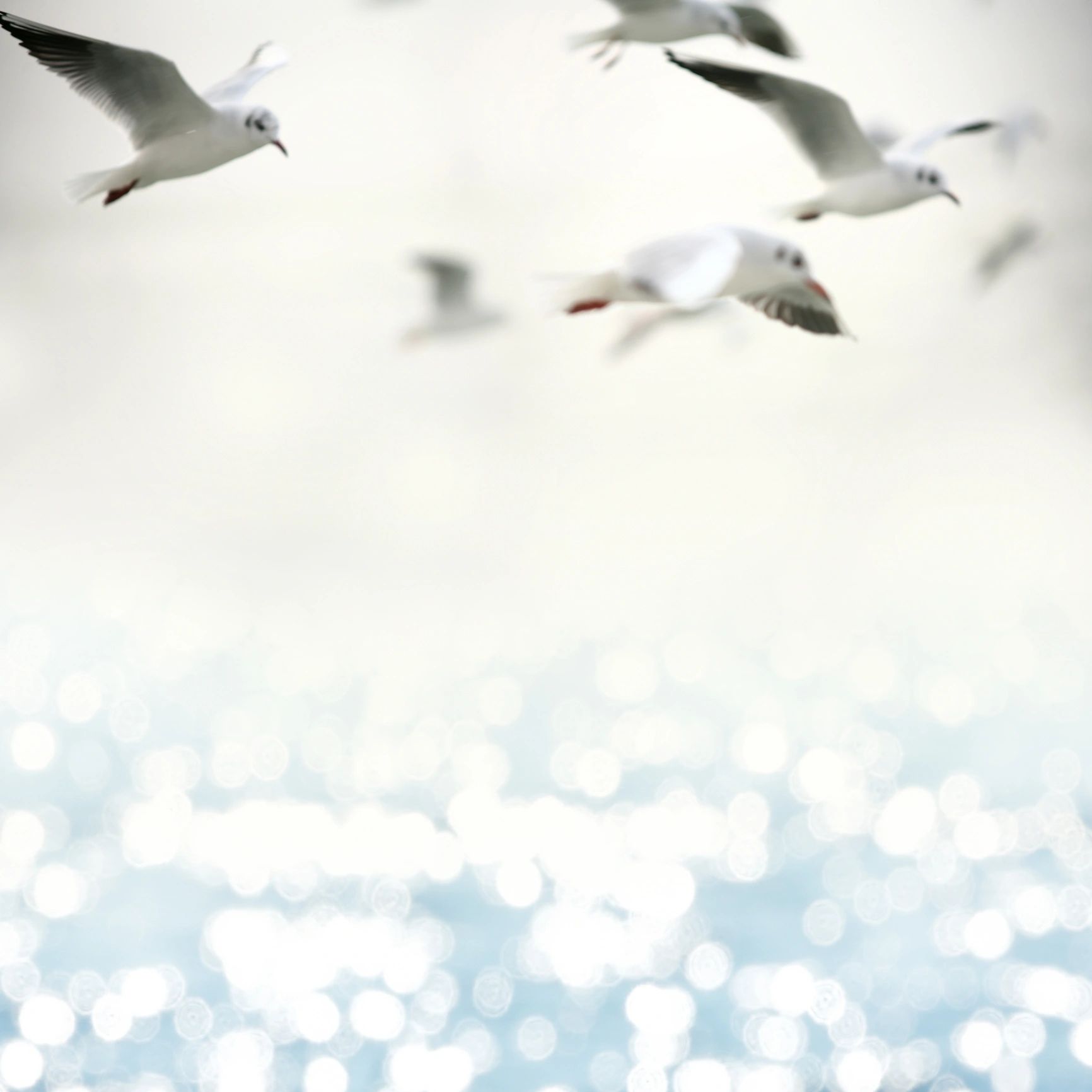 ARKA INTERNATIONAL LLC