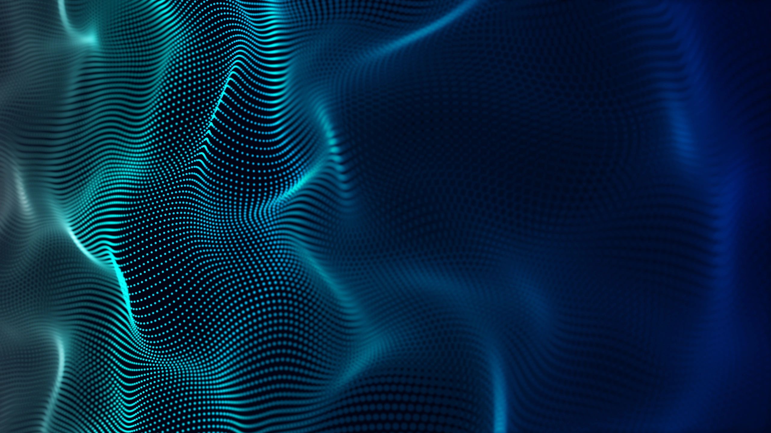 Video | The Trinity AI Software