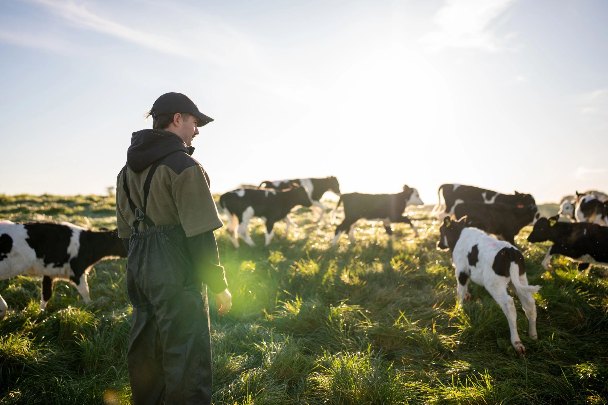 A Deep Dive Into Sustainable Beef Farming Practices