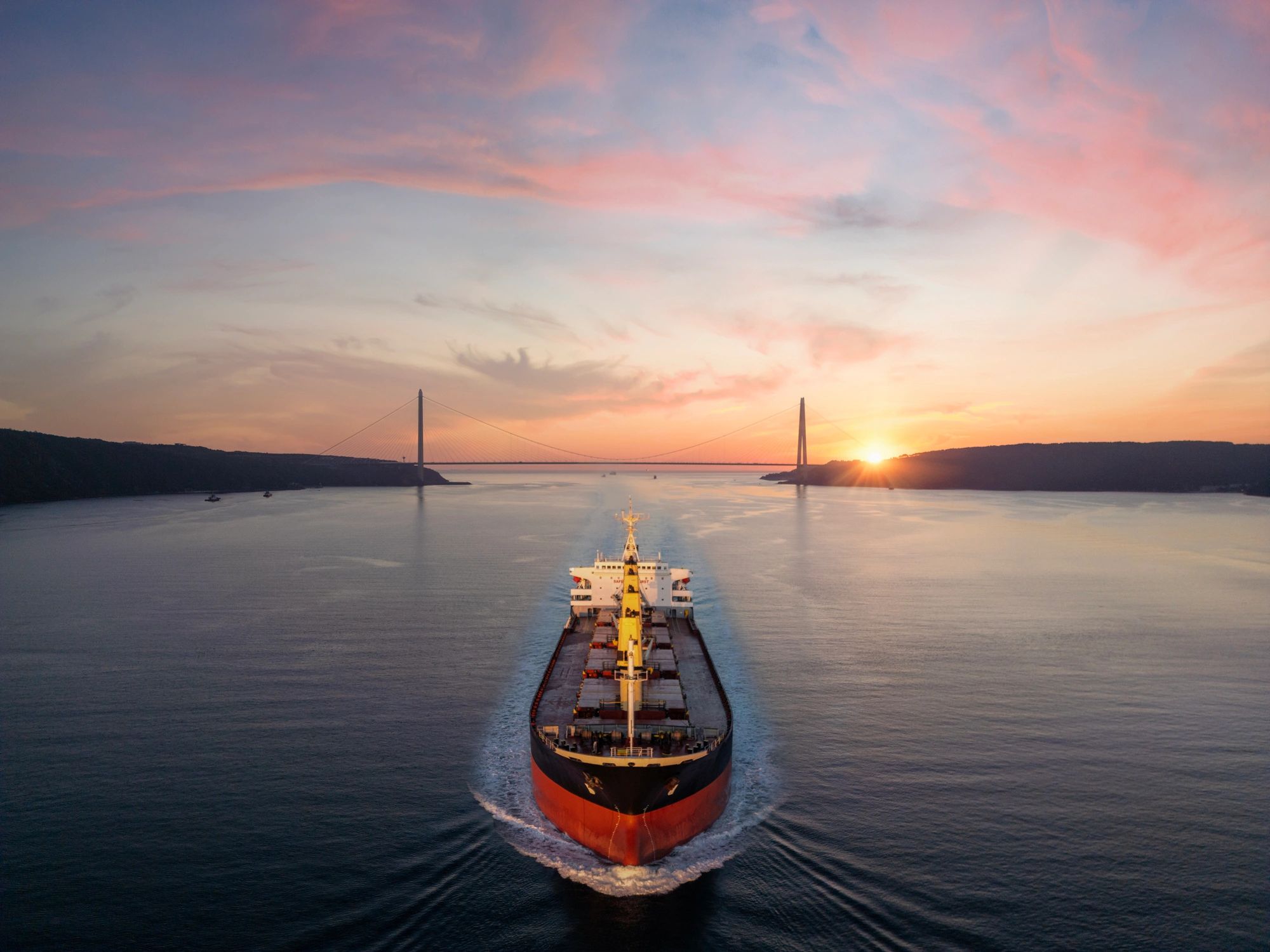 Reference Shipping Agency