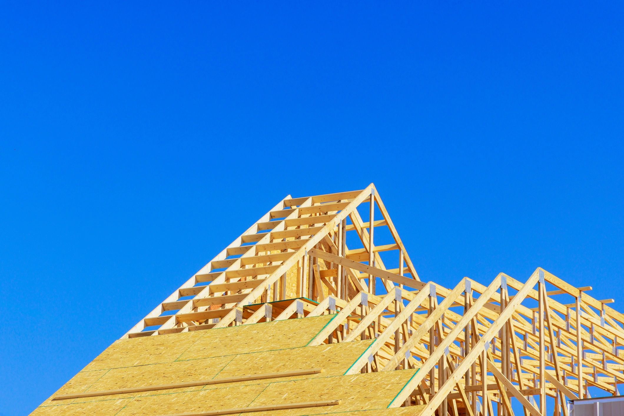 Top Home Improvement Contractors for Your Renovation Needs