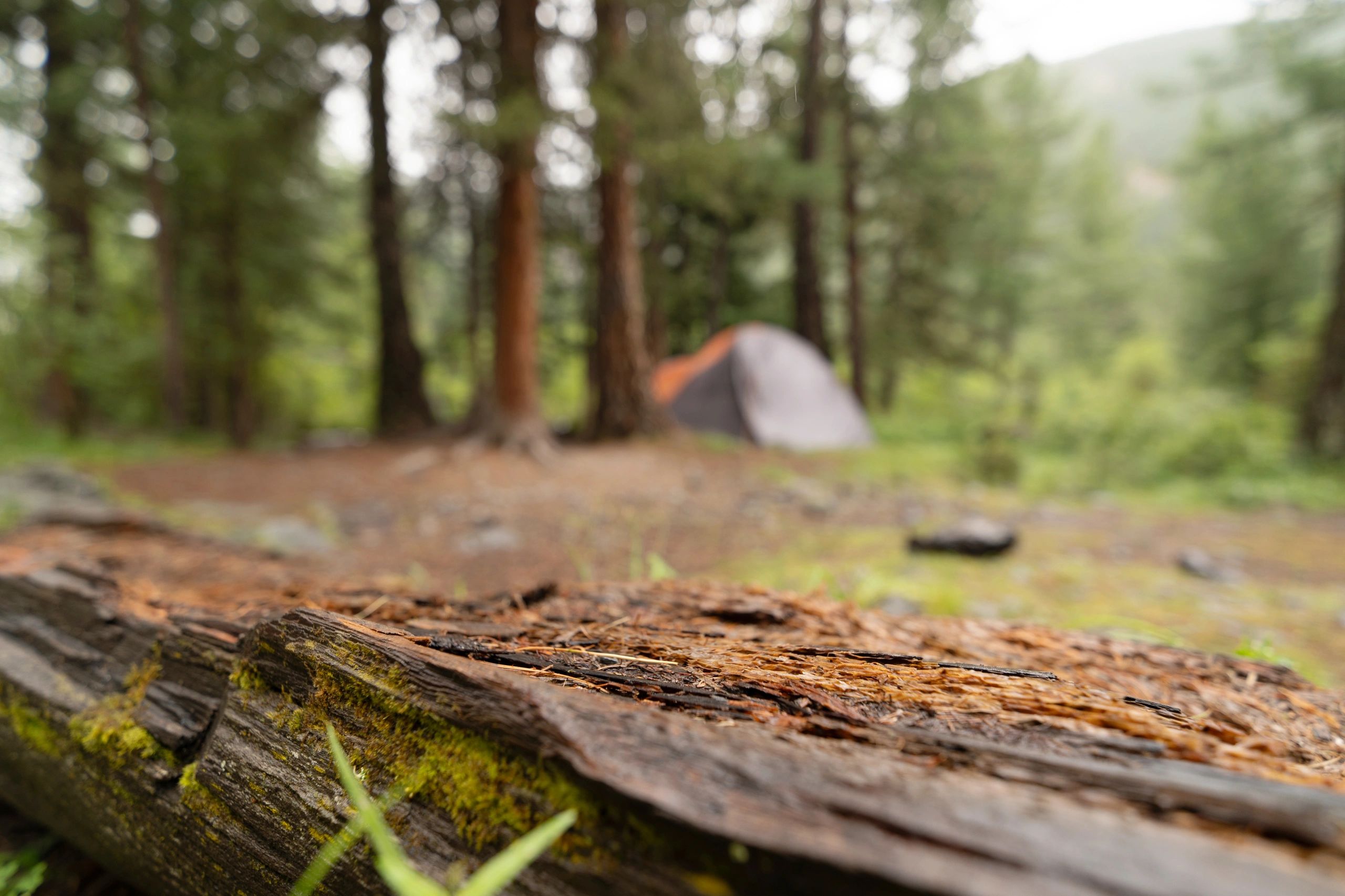 Nudist Conservation Campgrounds - Native Woods Naturists