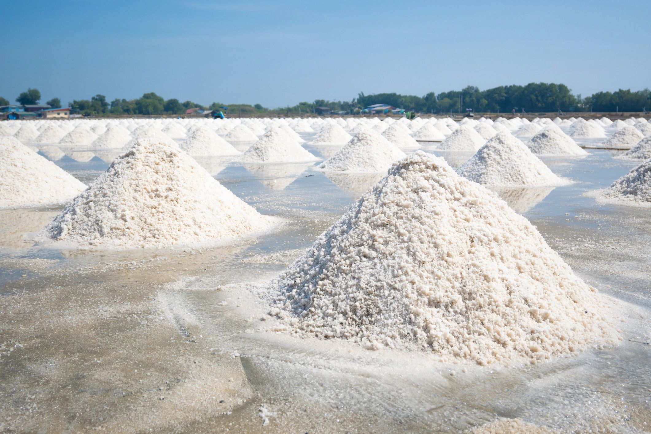Salt