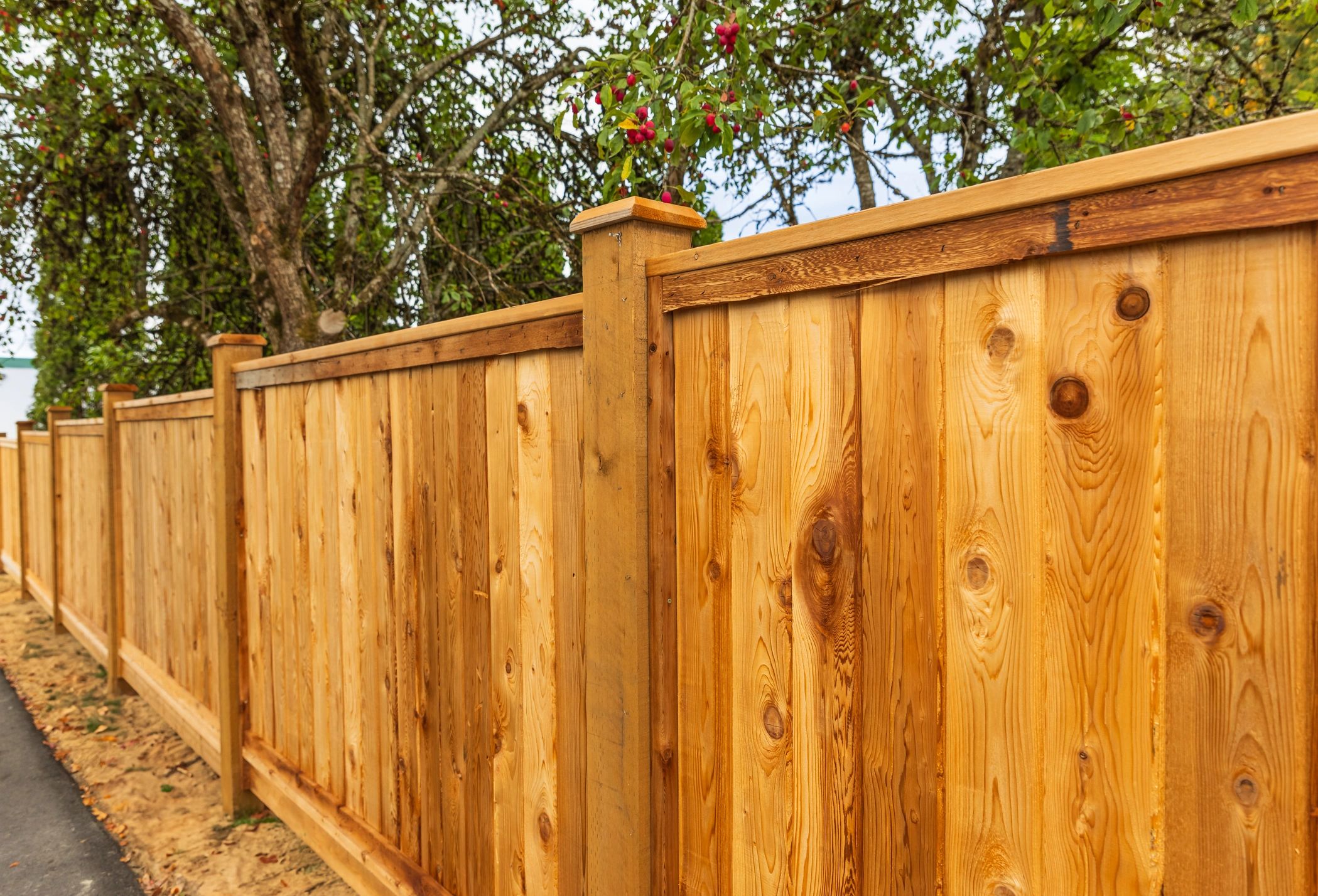 Rosewood Tree Fencing