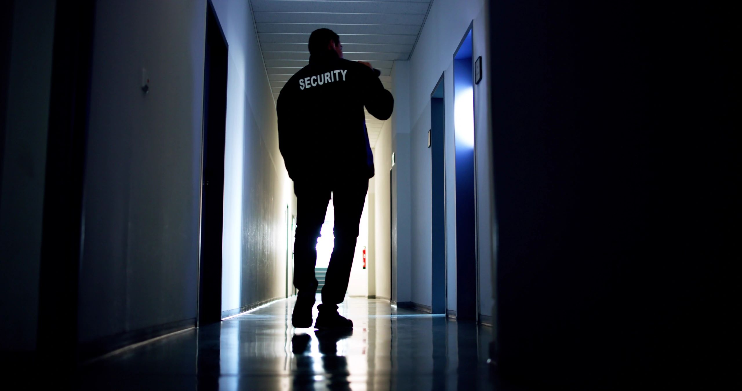 Diligent Security Solutions