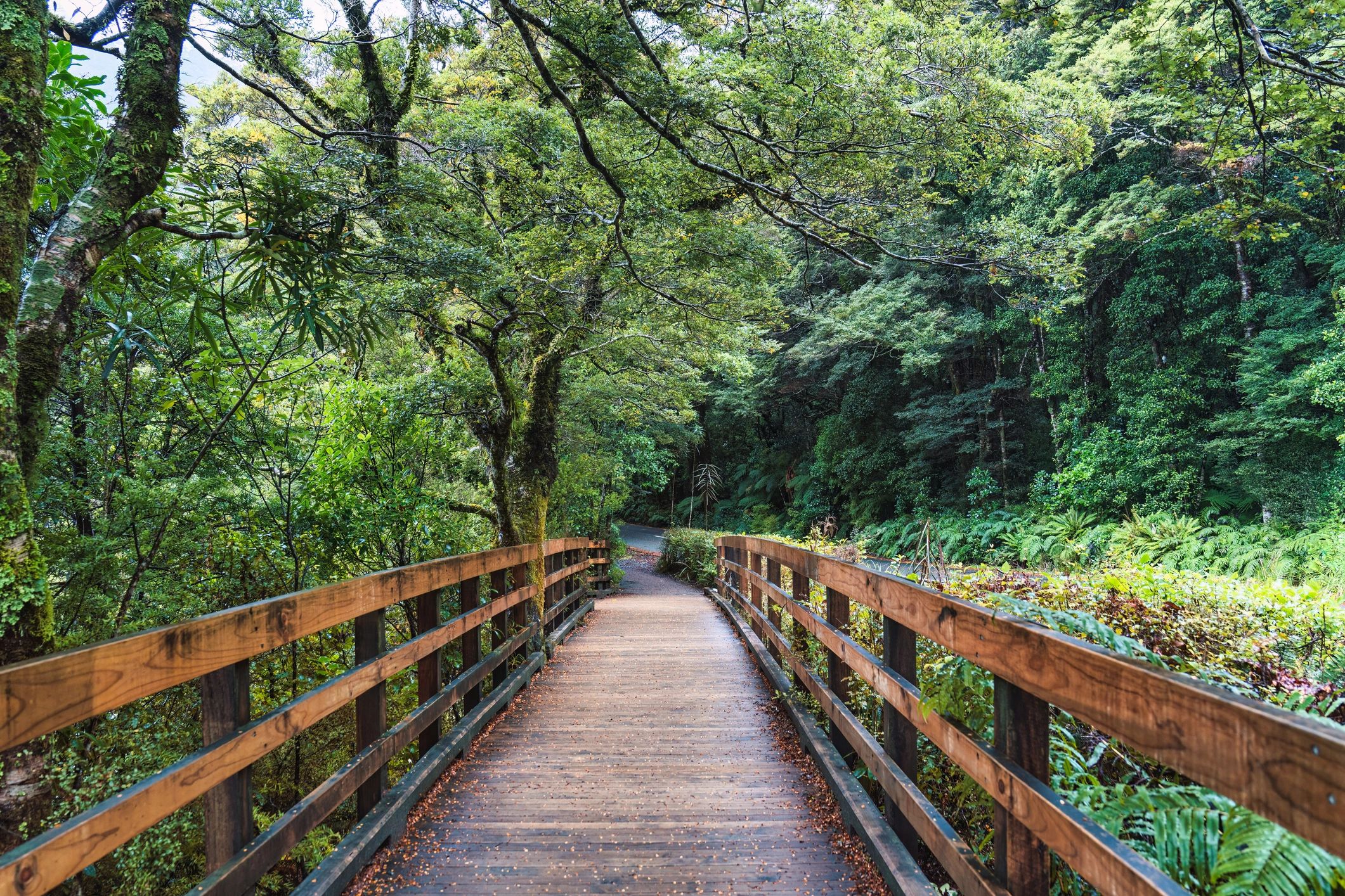 Grace Bridge Coaching