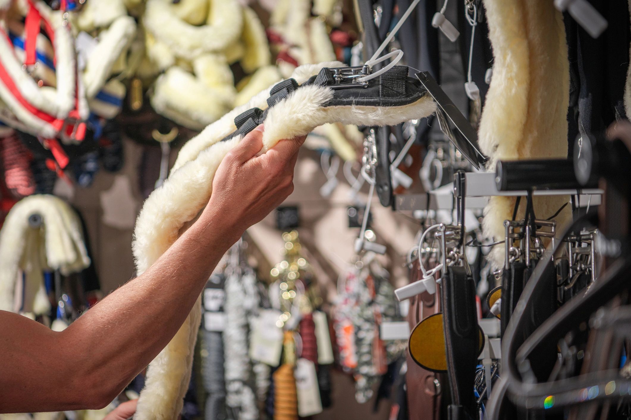 Jack's Tack: Quality Equestrian Supplies & Gear