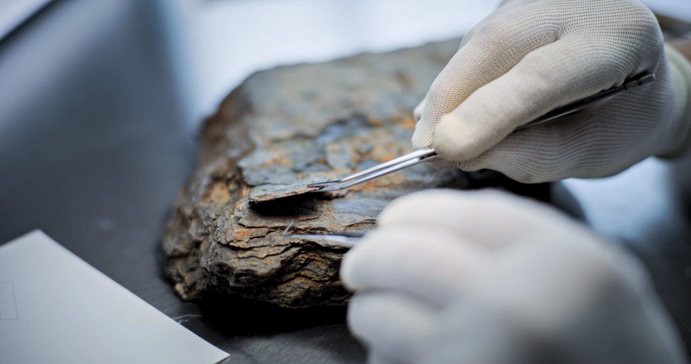 Financial Reports | Highland Critical Minerals