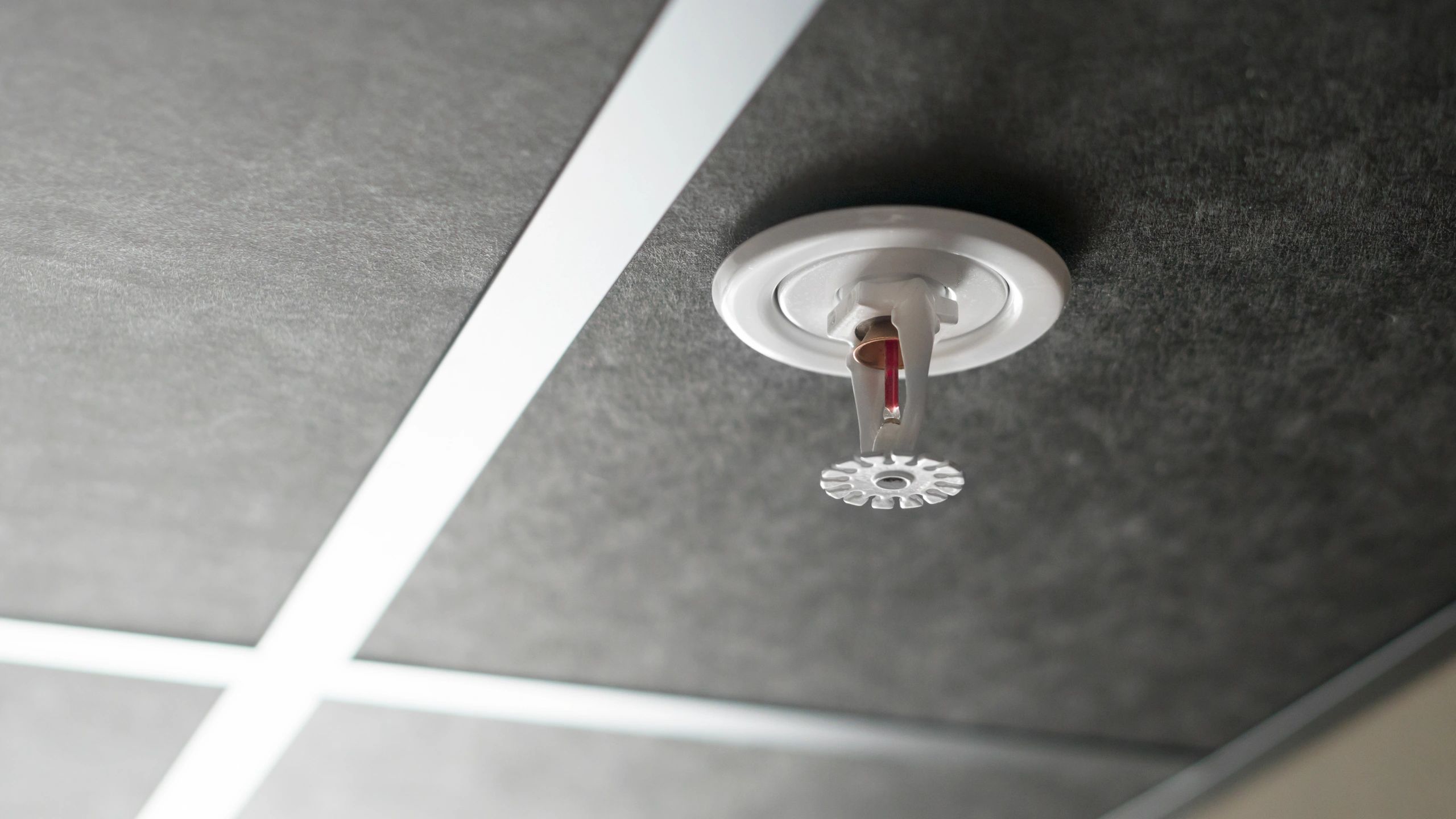 Reliable Fire Sprinkler Commercial and Residential Solutions