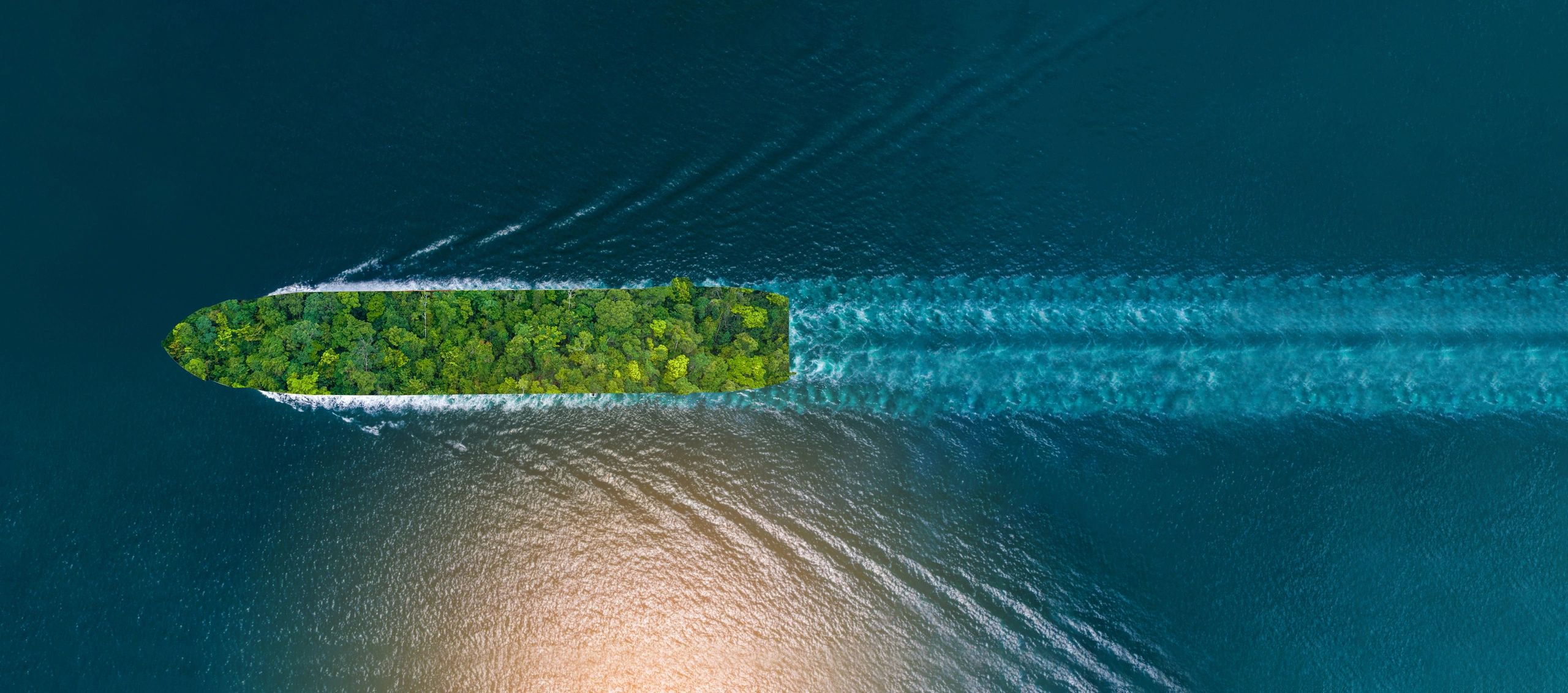 AP Marine Decarbonisation