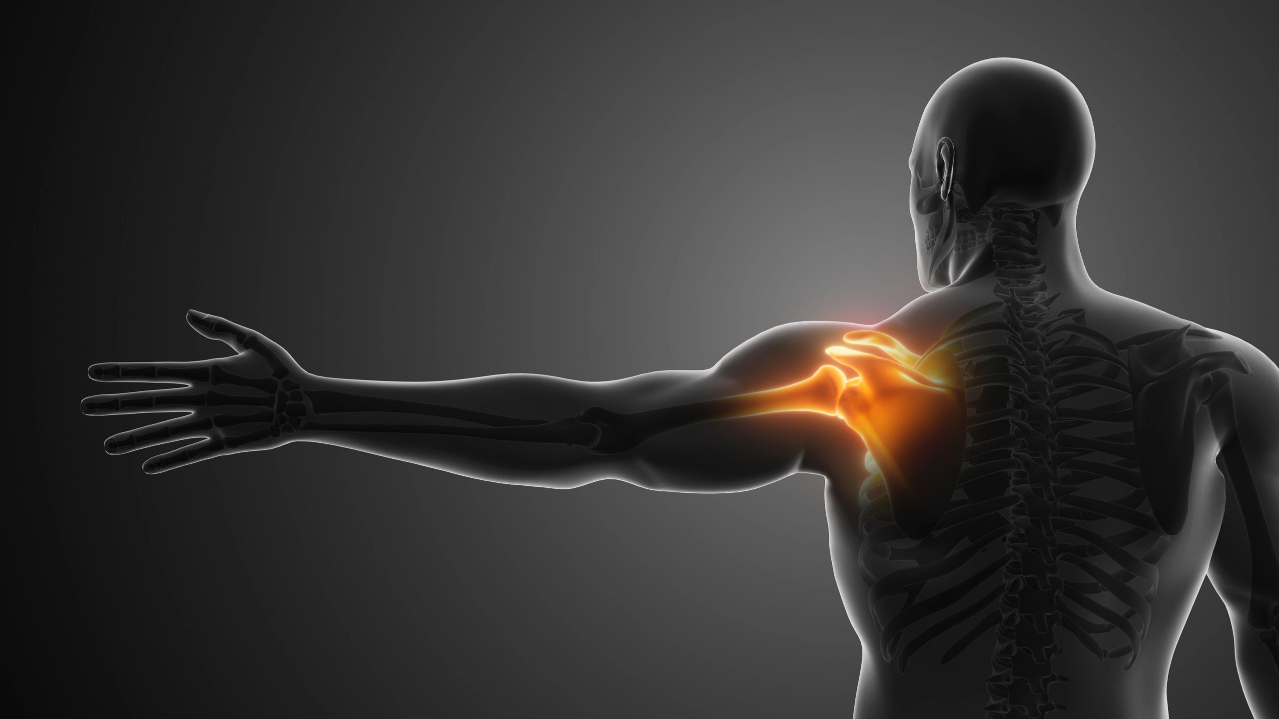 Movement PT: Your Path to Recovery and Performance