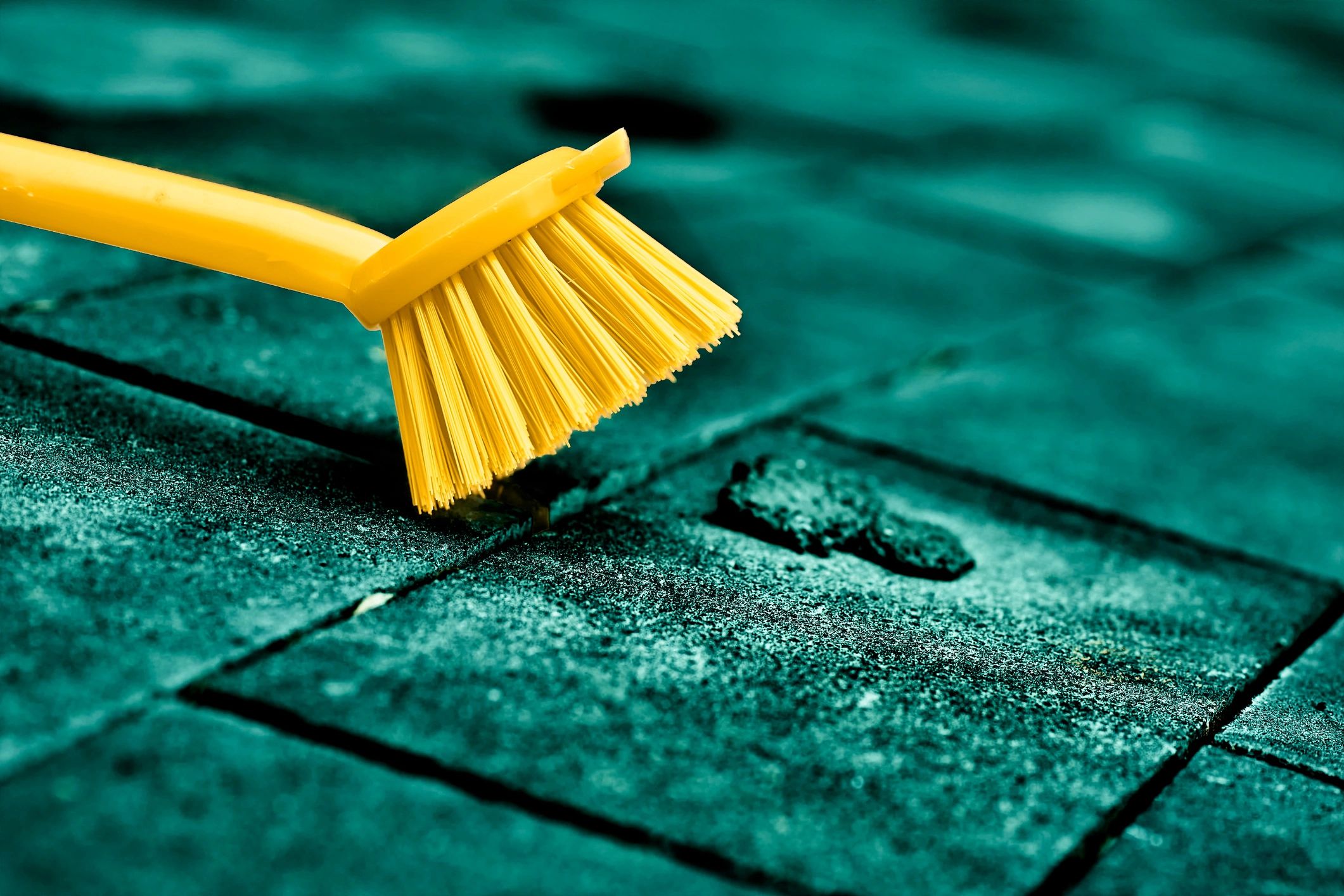 Edwards Cleaning: Premier Cleaning Services You Can Trust