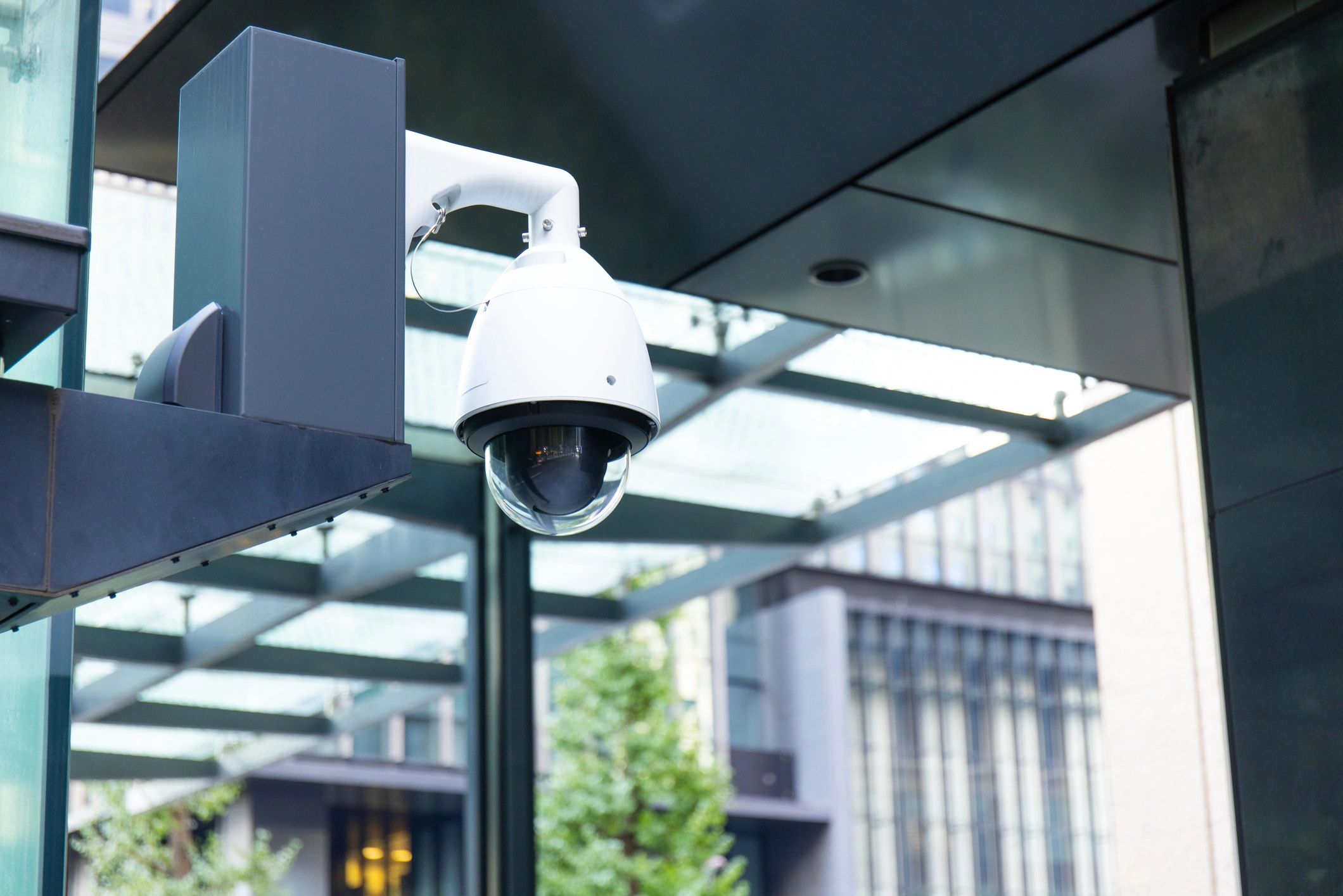 The Importance of Security Cameras for Safety