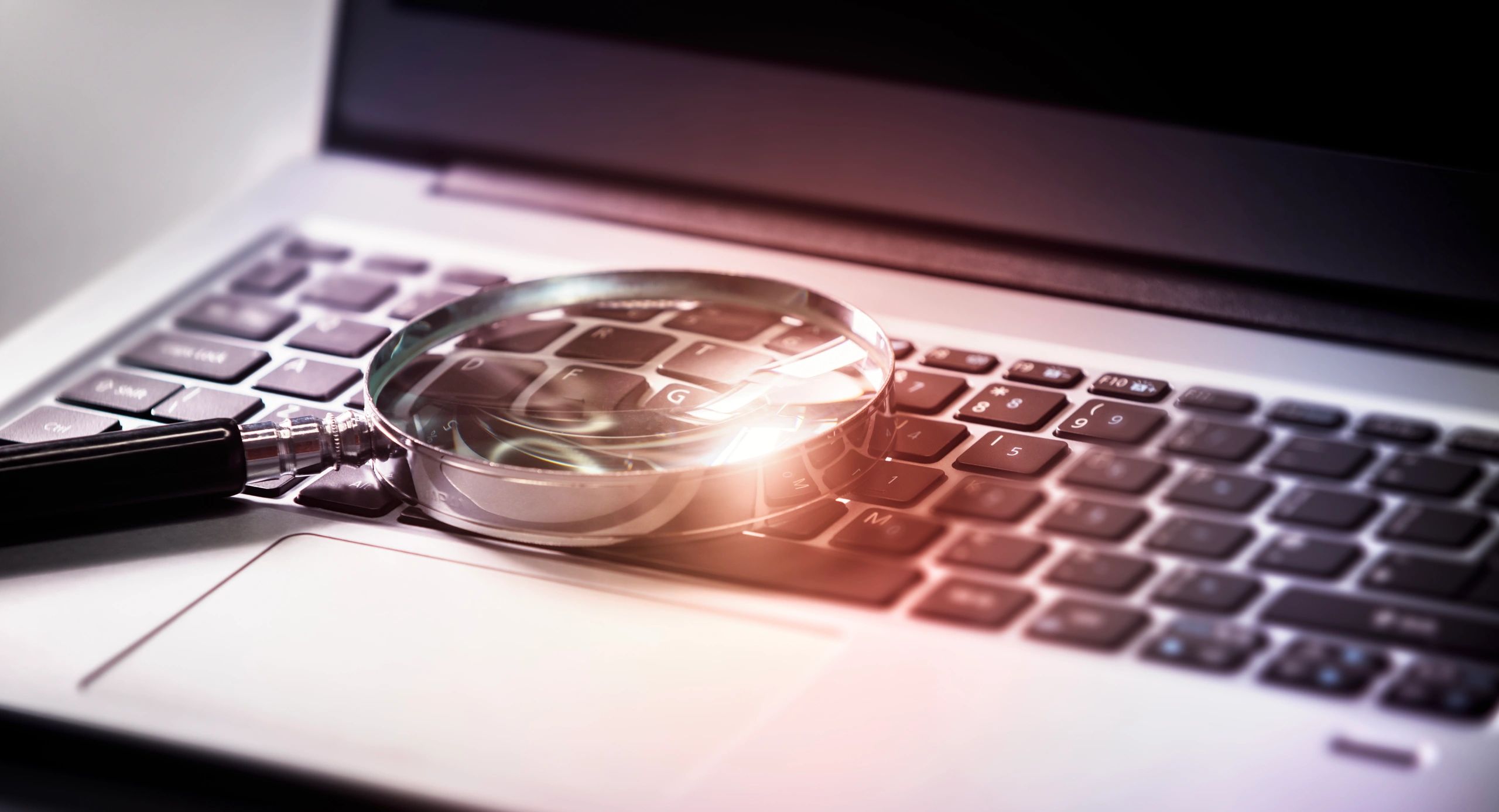 Expert Computer Support and Services for Your Needs