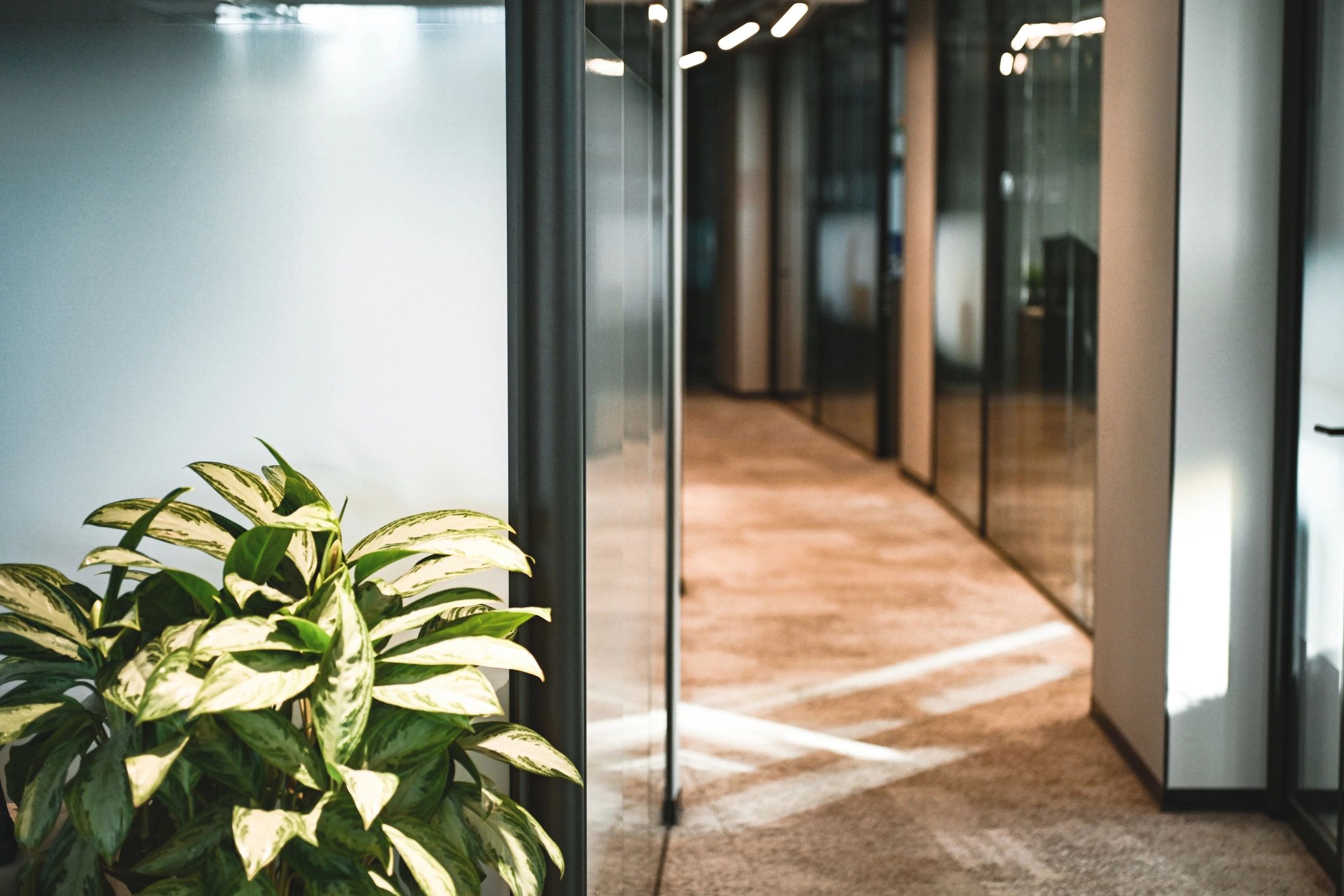 Checking OCD | Carolina Anxiety and OCD Therapy