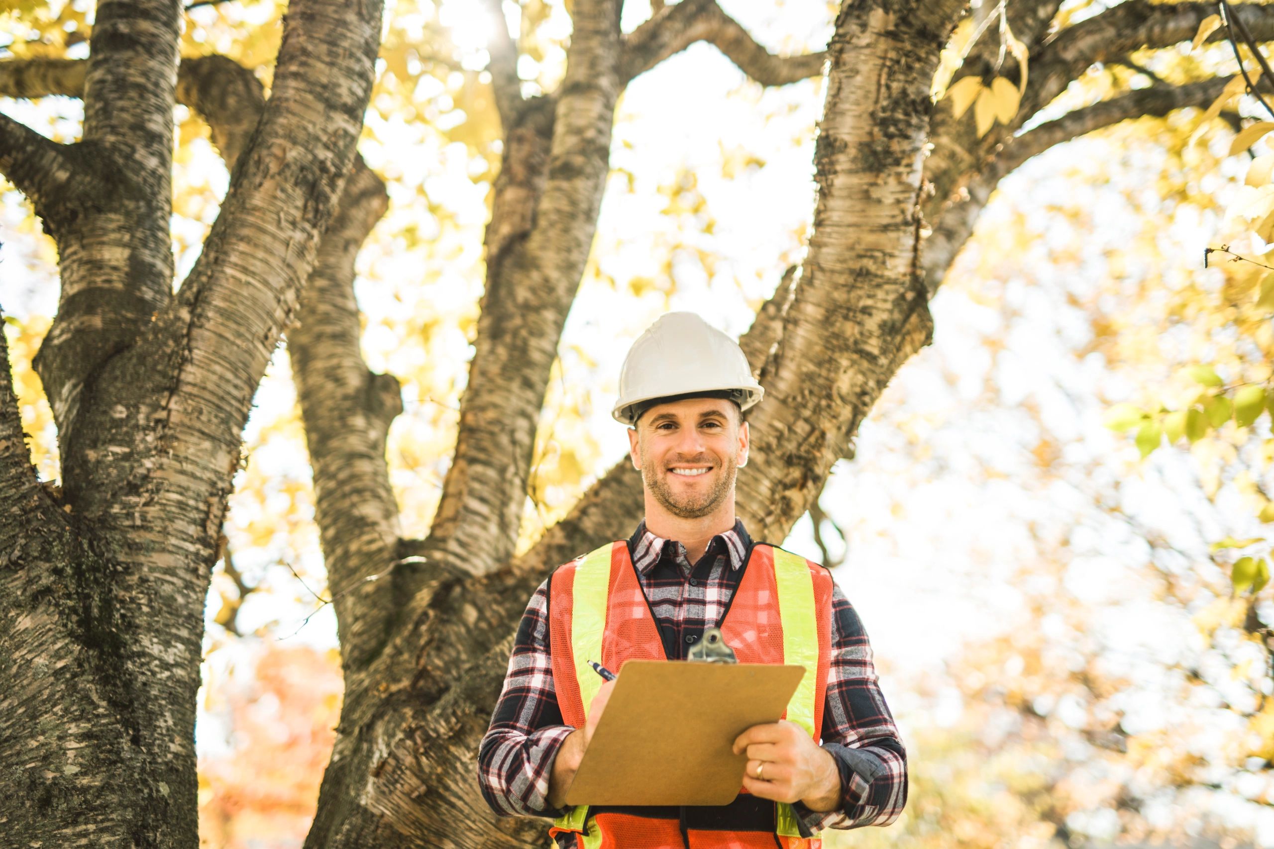 Expert Tree Care Services for Healthier Trees