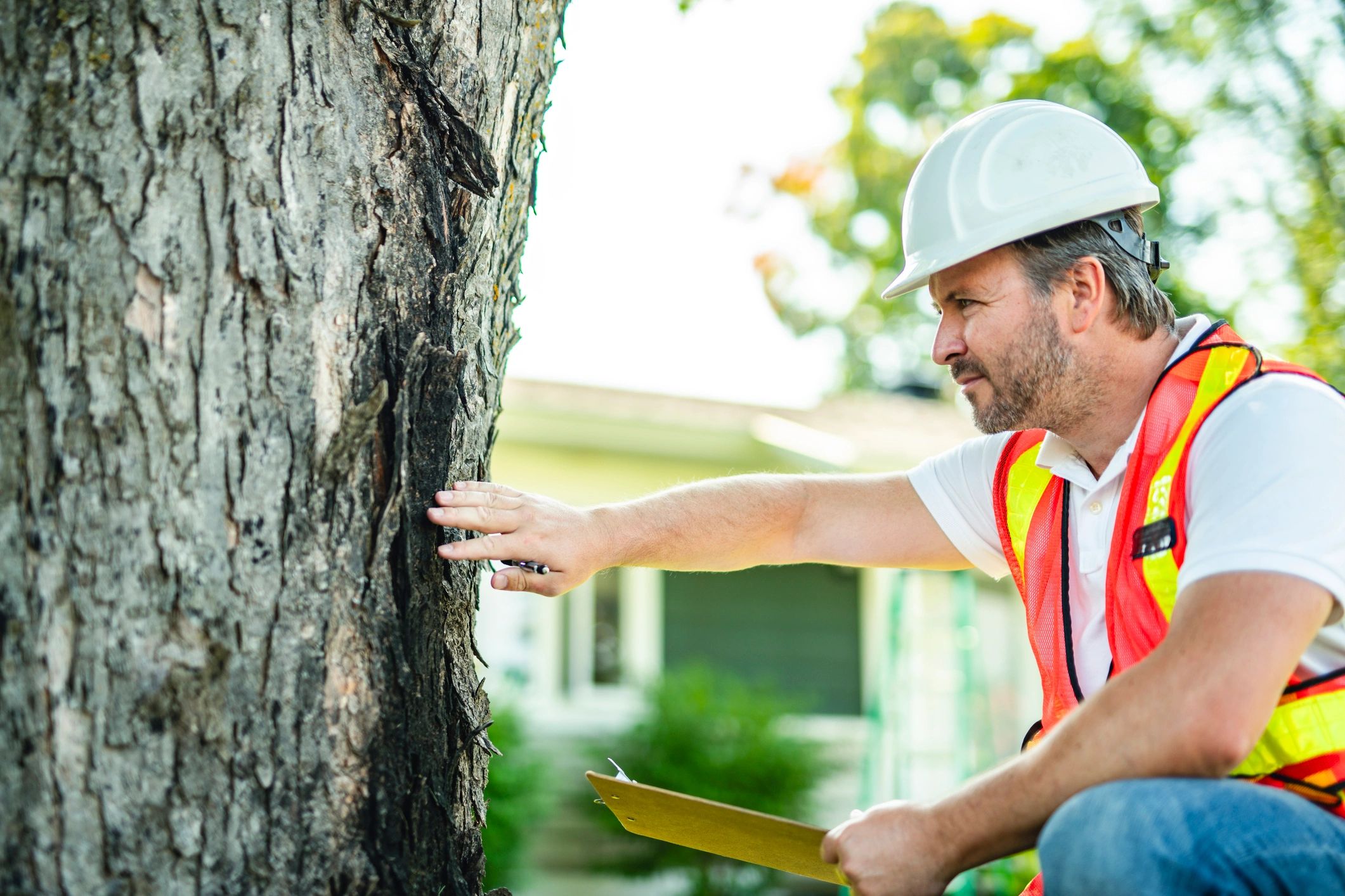 FHG Tree Service