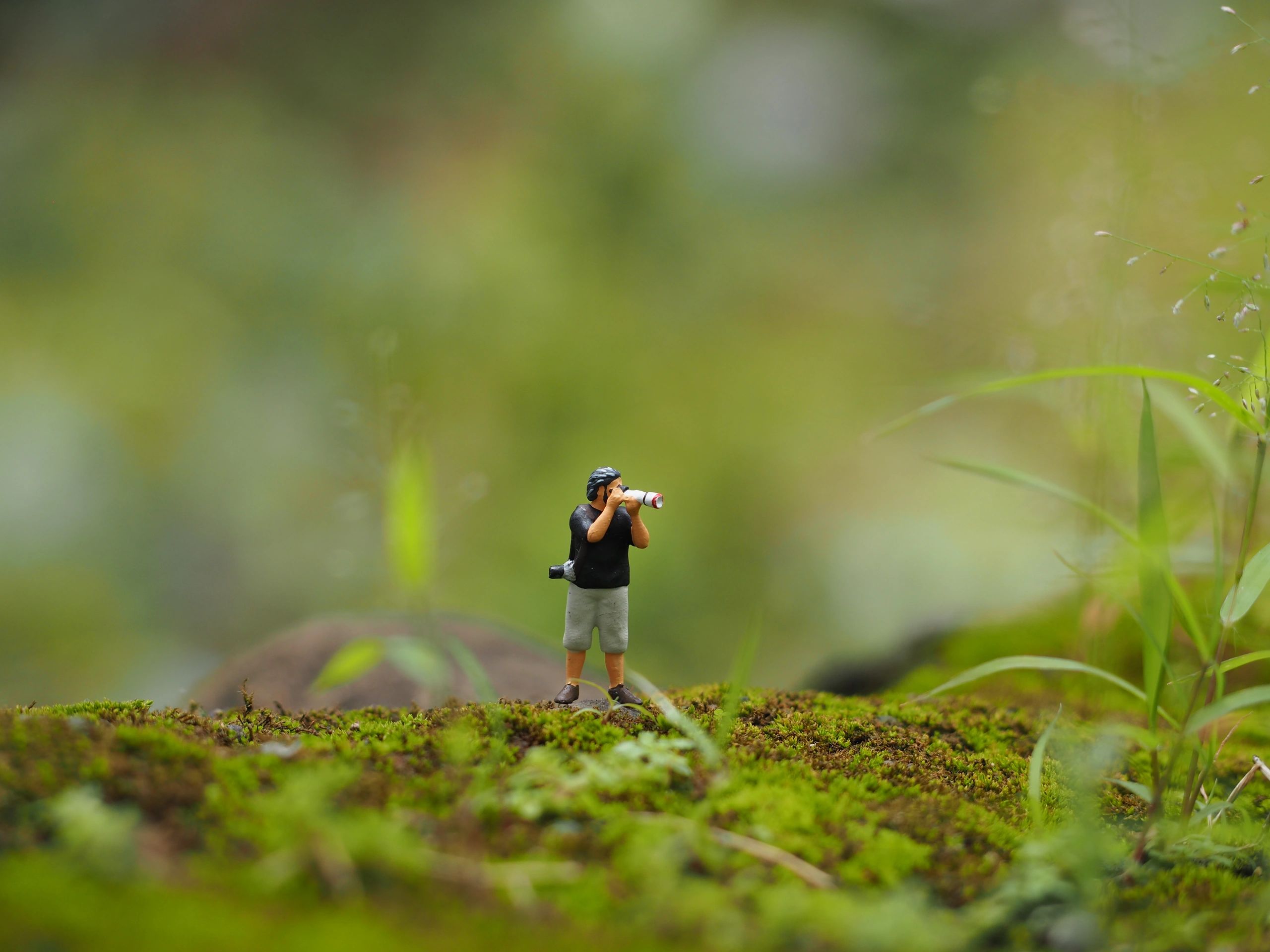 minature.land