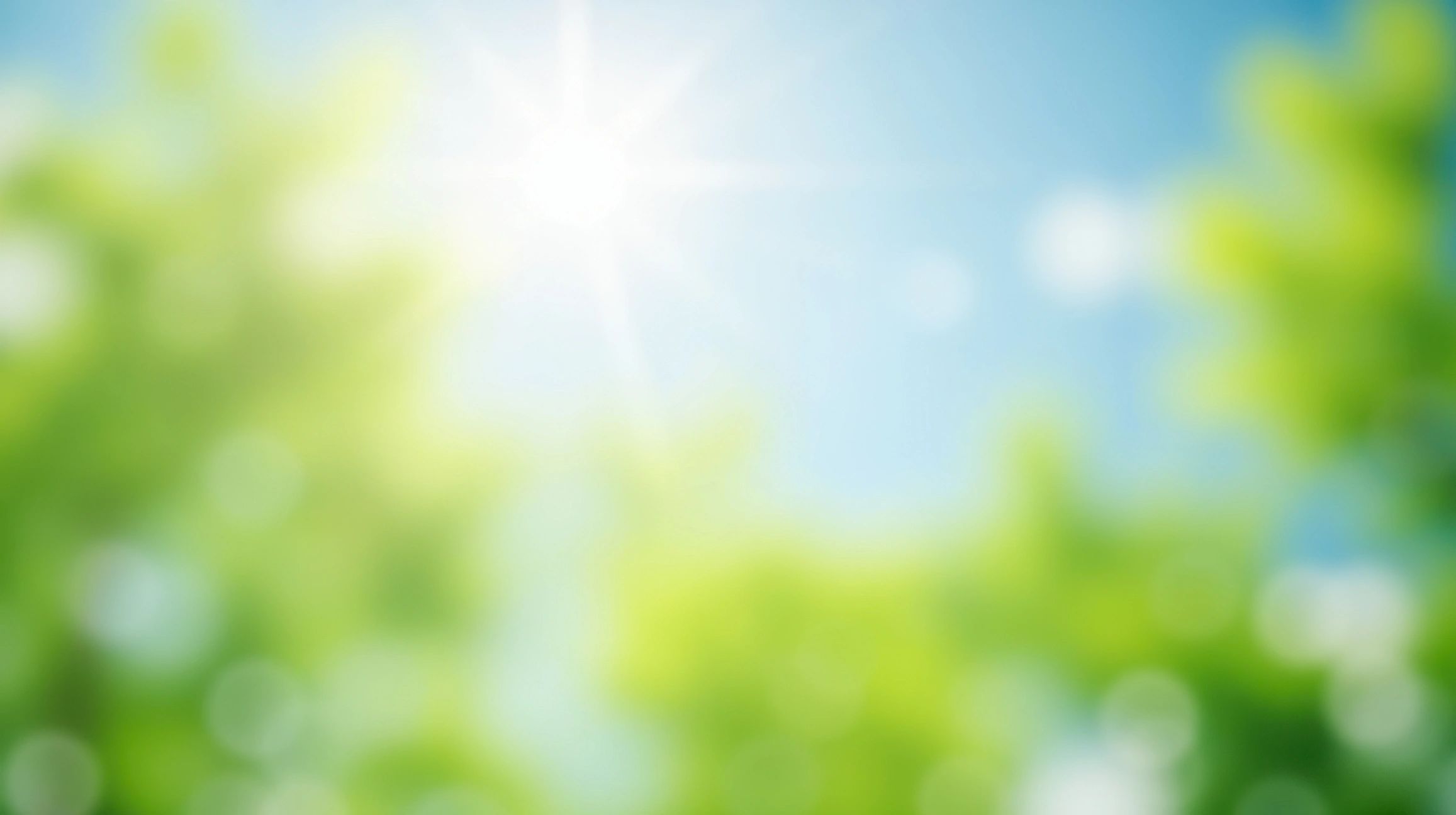 Compassionate Elderly Home Care Services