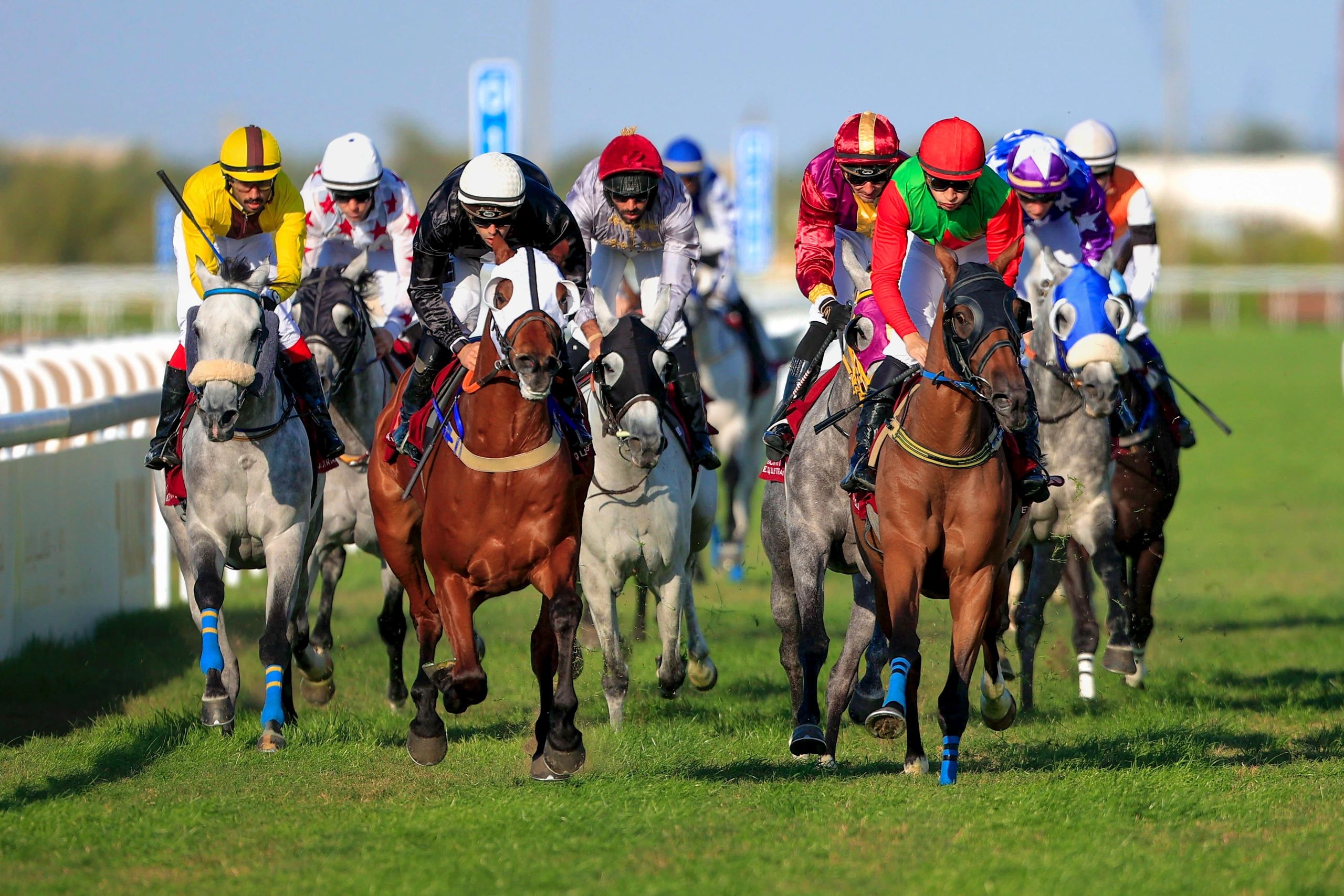 Daily Nap System Test | UK Horse Racing System Results