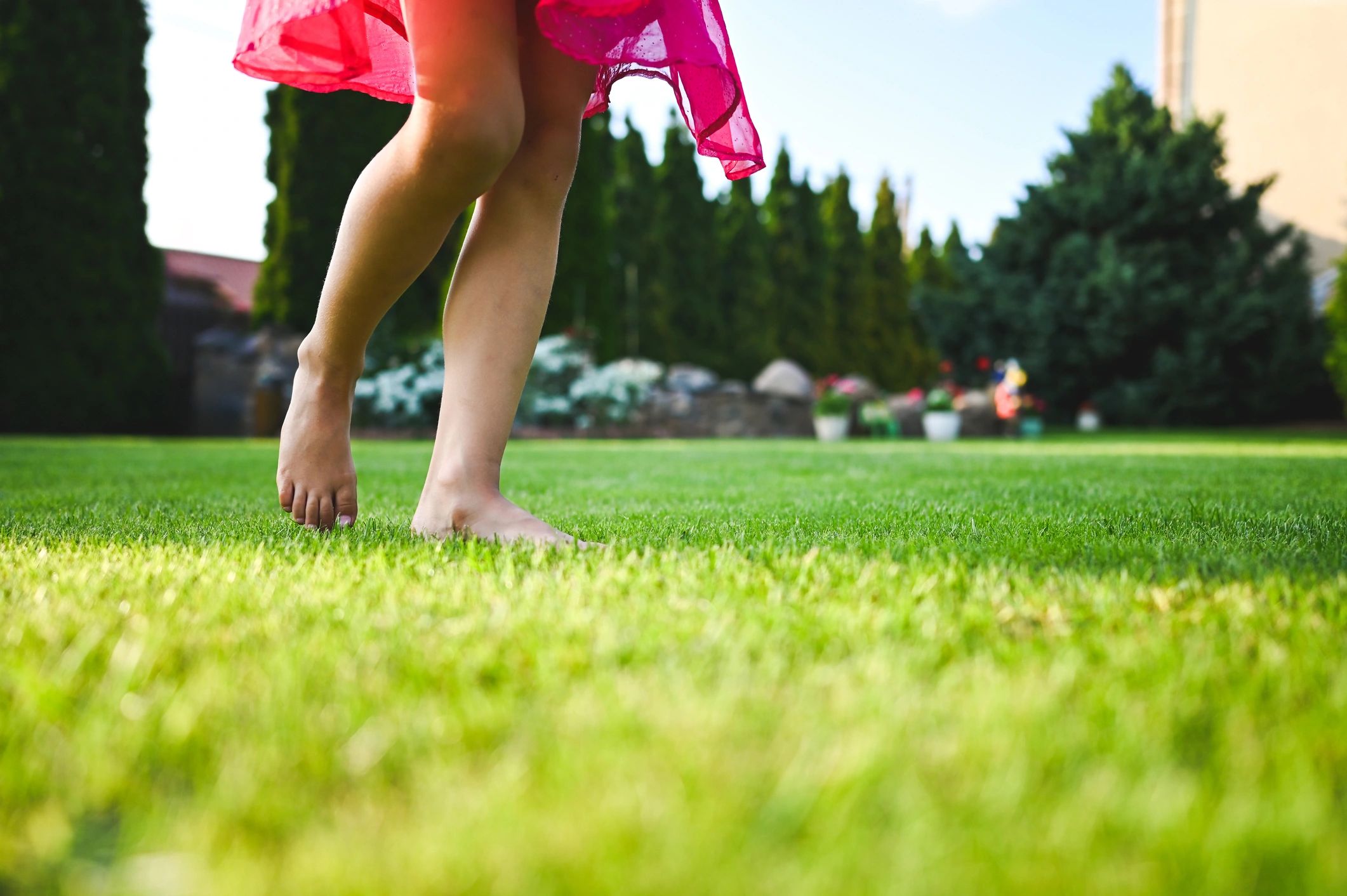 Red Tree Lawn And Landscaping