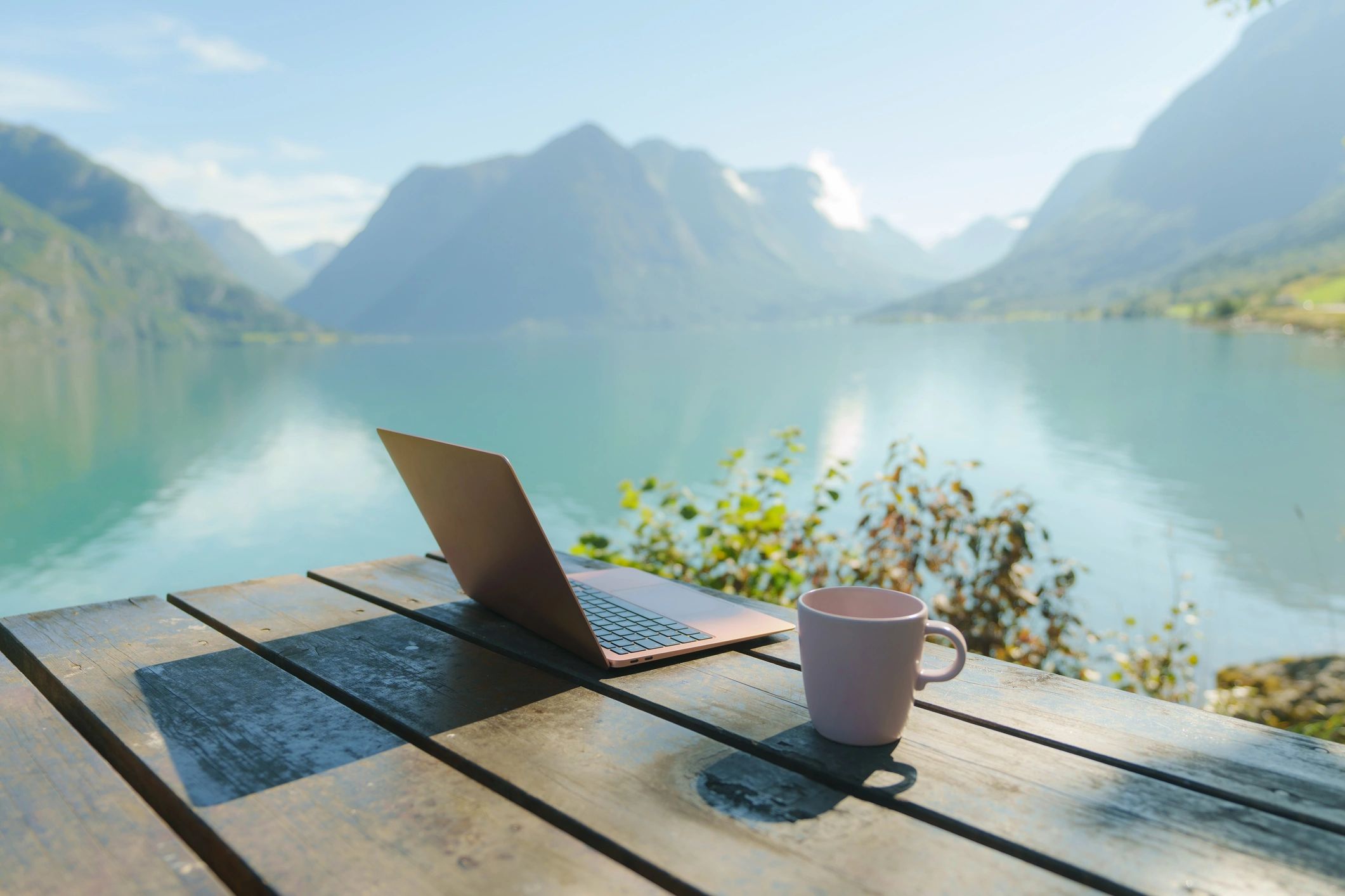 Insight Virtual Therapy Trusted Counselling Websites