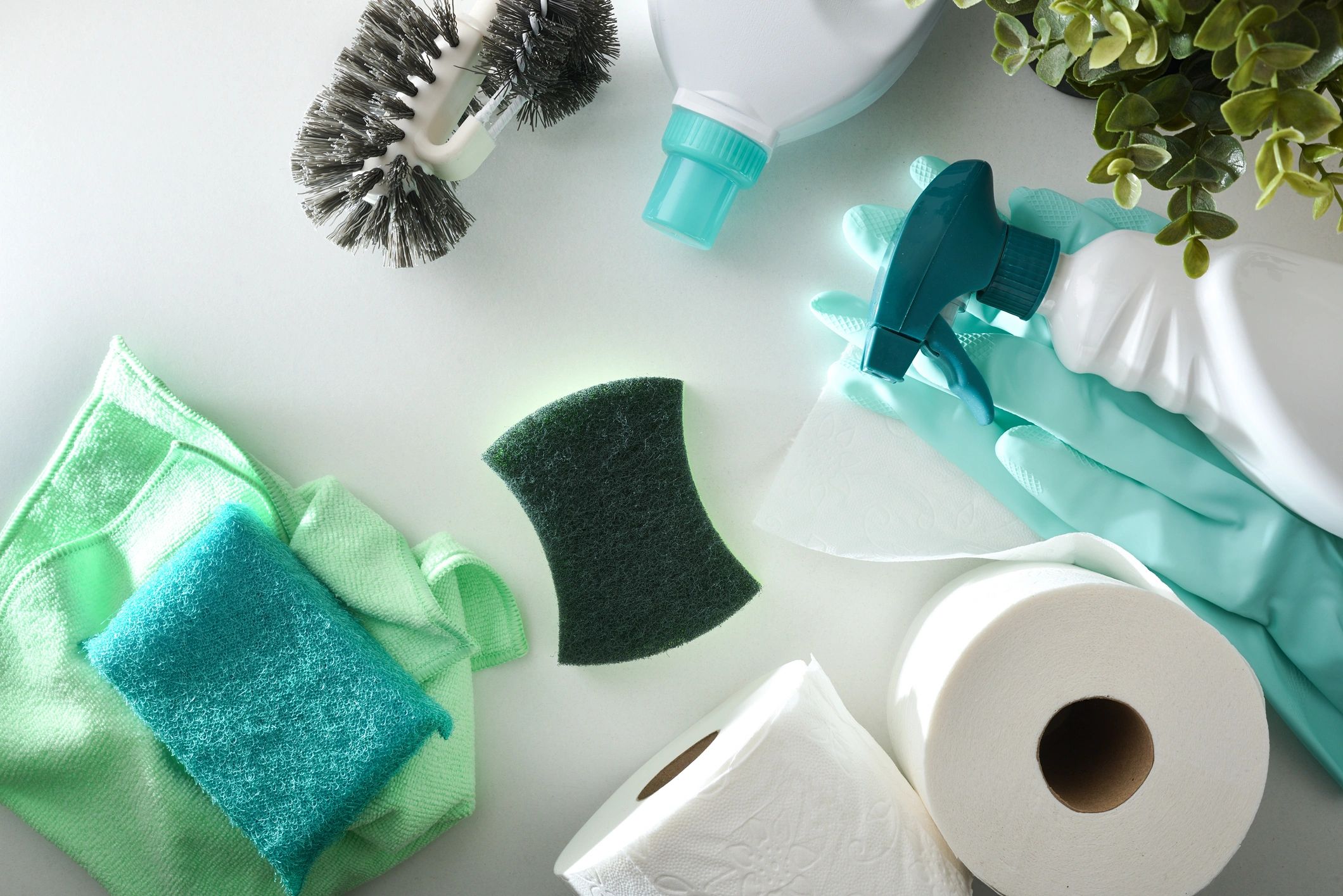 Professional Cleaning Services | True Shine Home Service