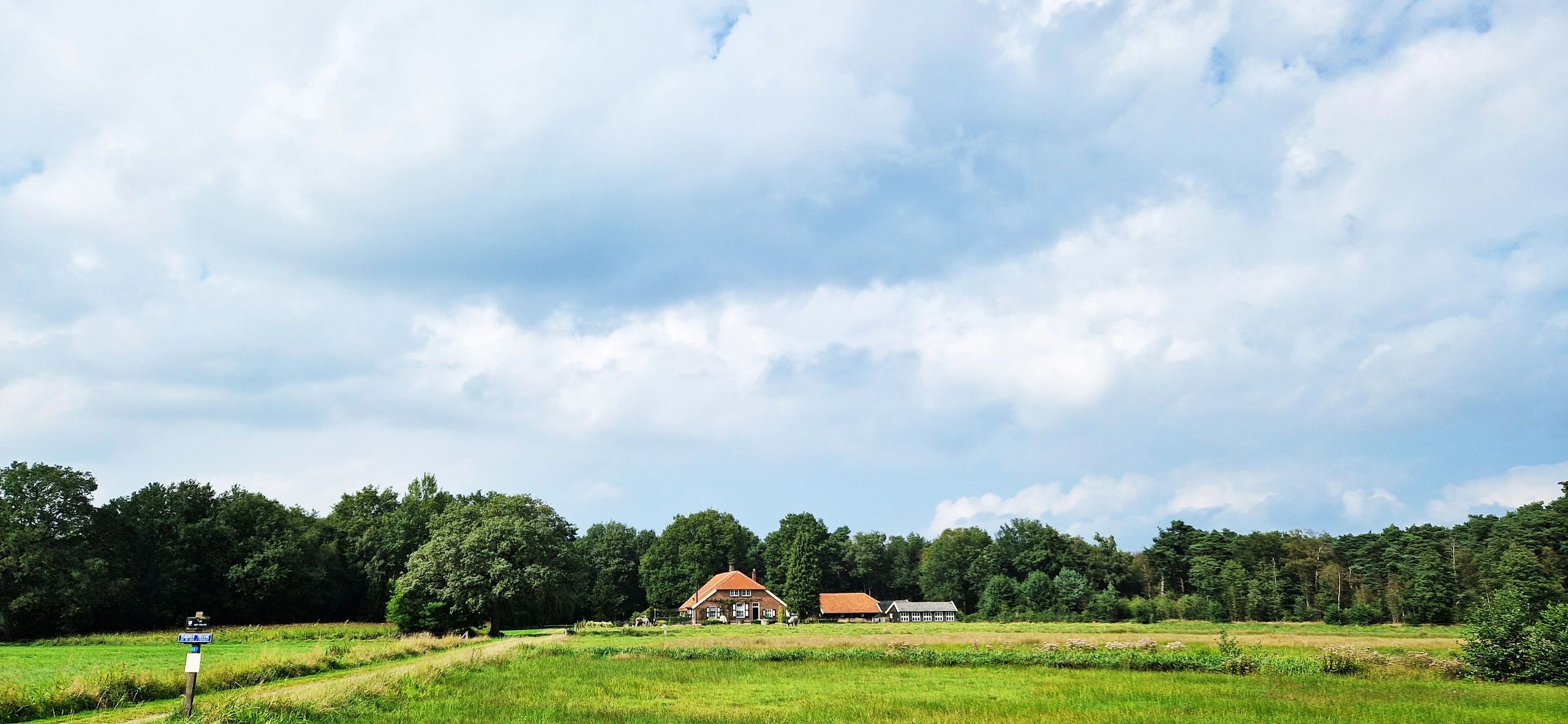 Akin Properties Website